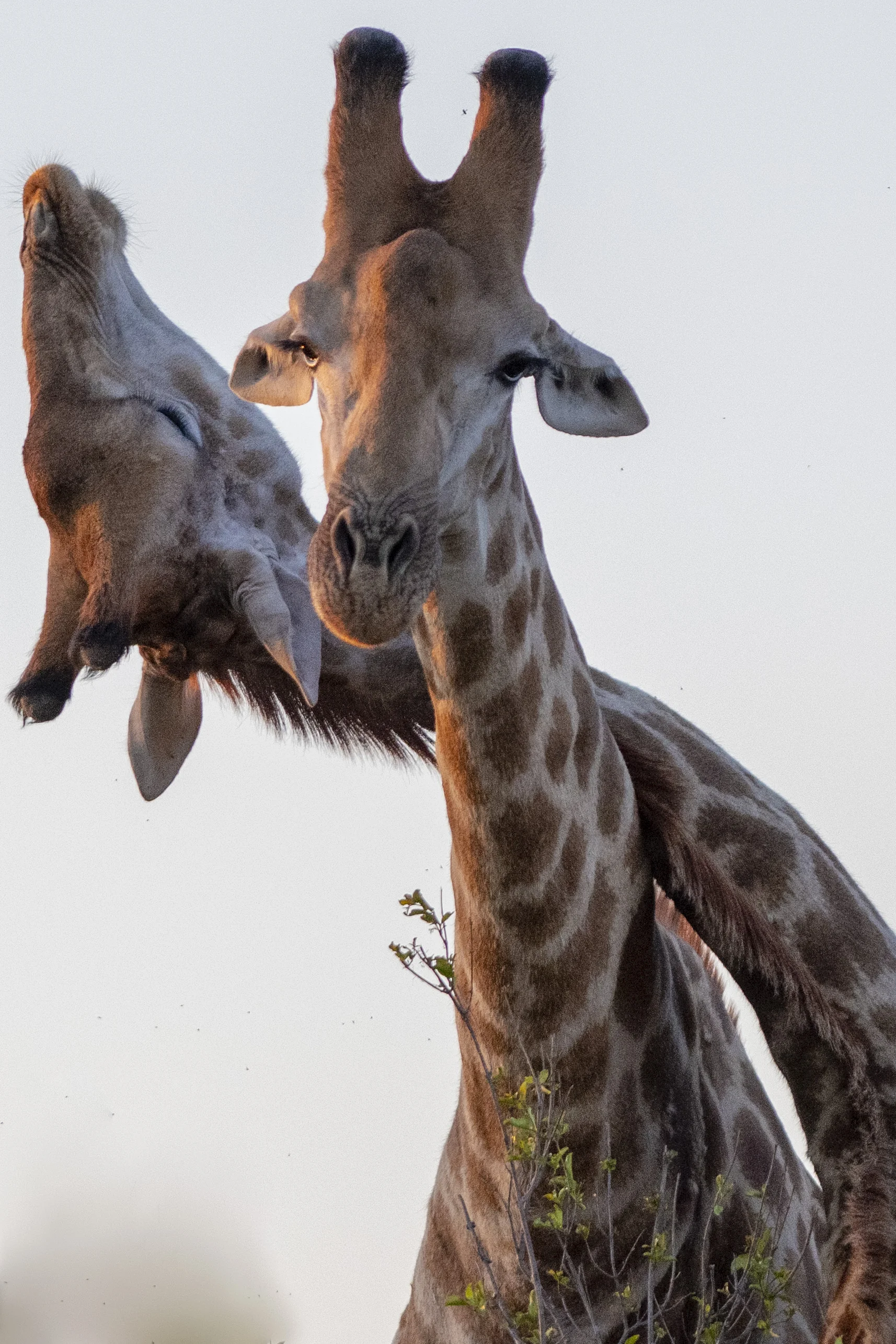 ADAM BARNARD PHOTOGRAPHY