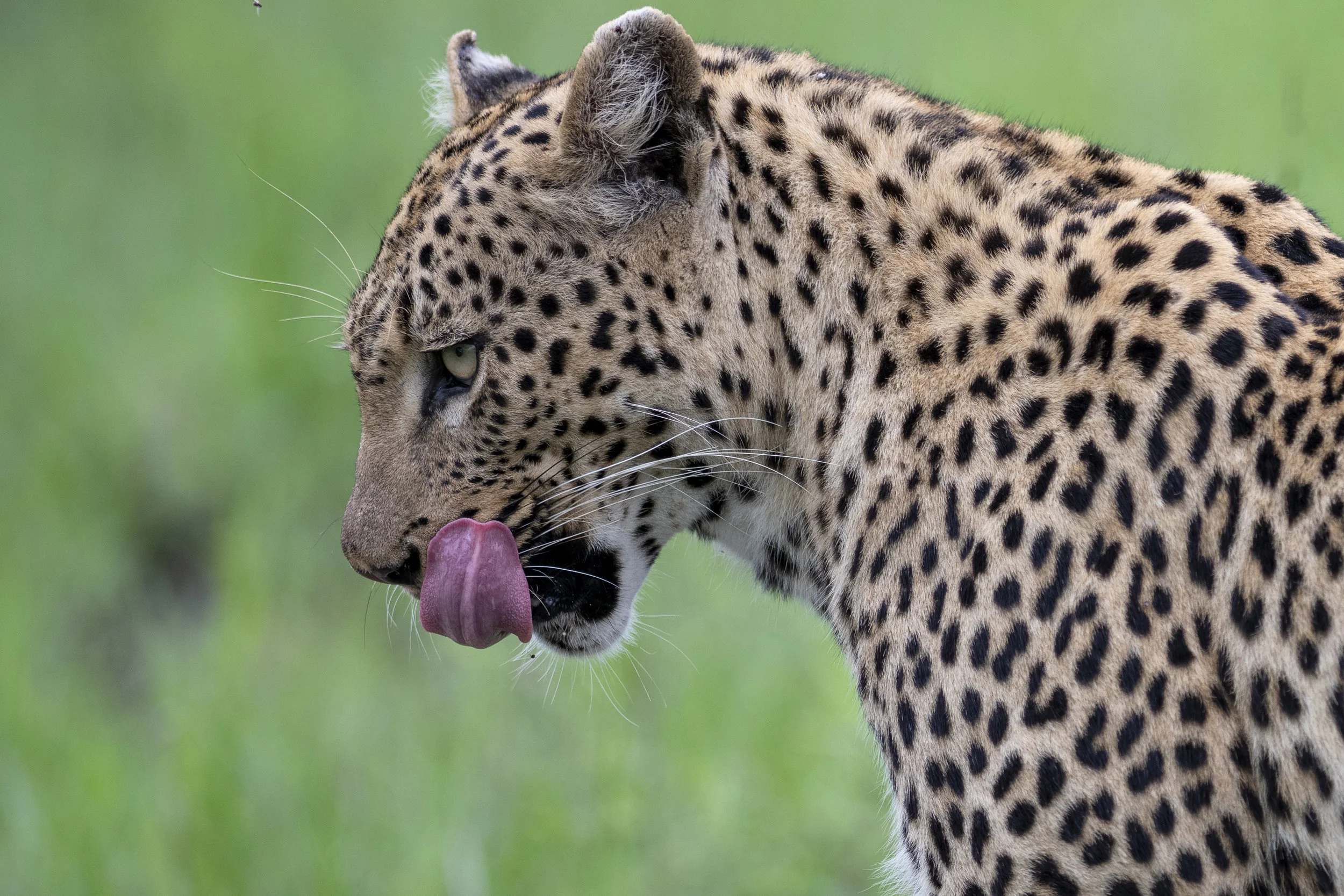 ADAM BARNARD PHOTOGRAPHY