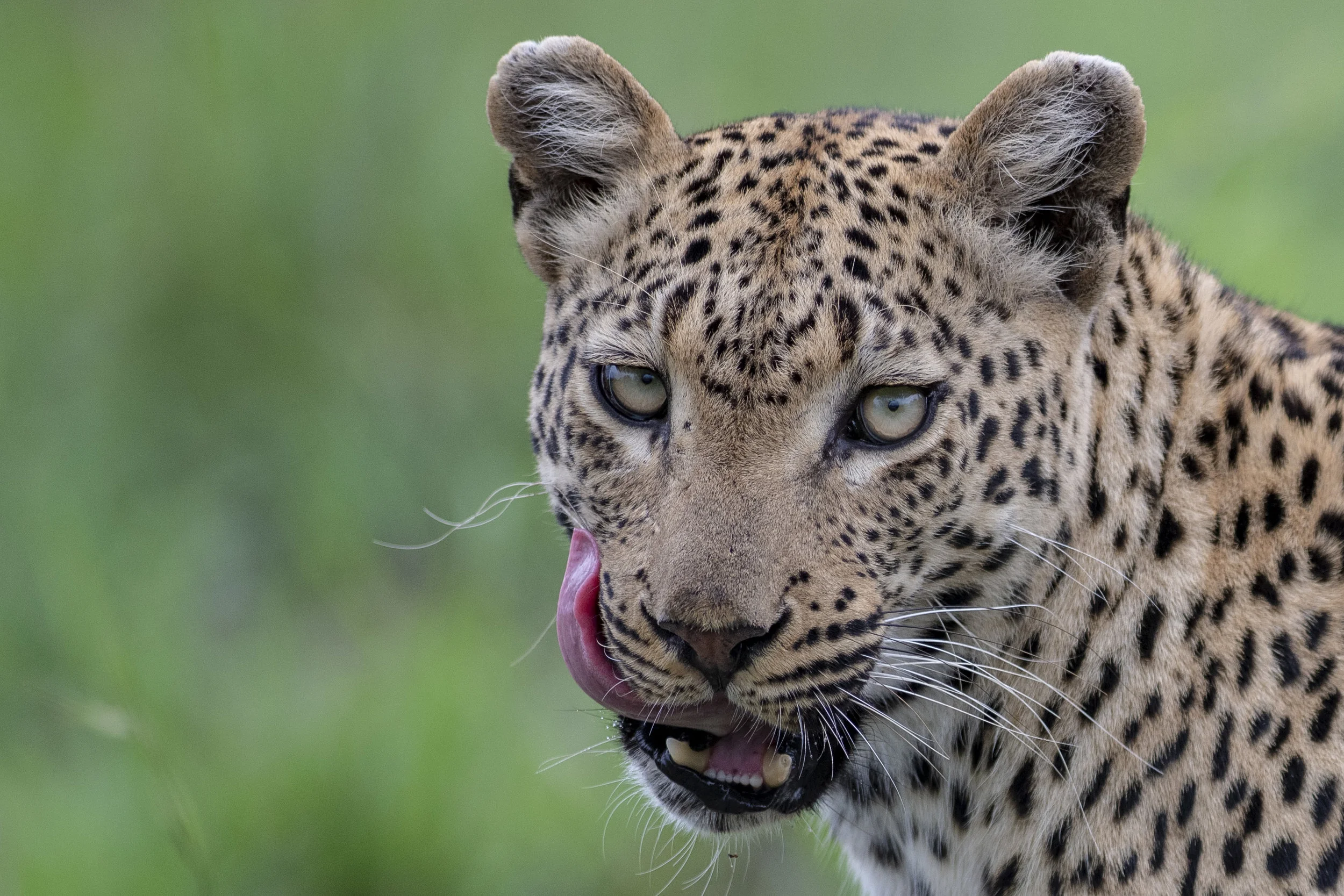 ADAM BARNARD PHOTOGRAPHY