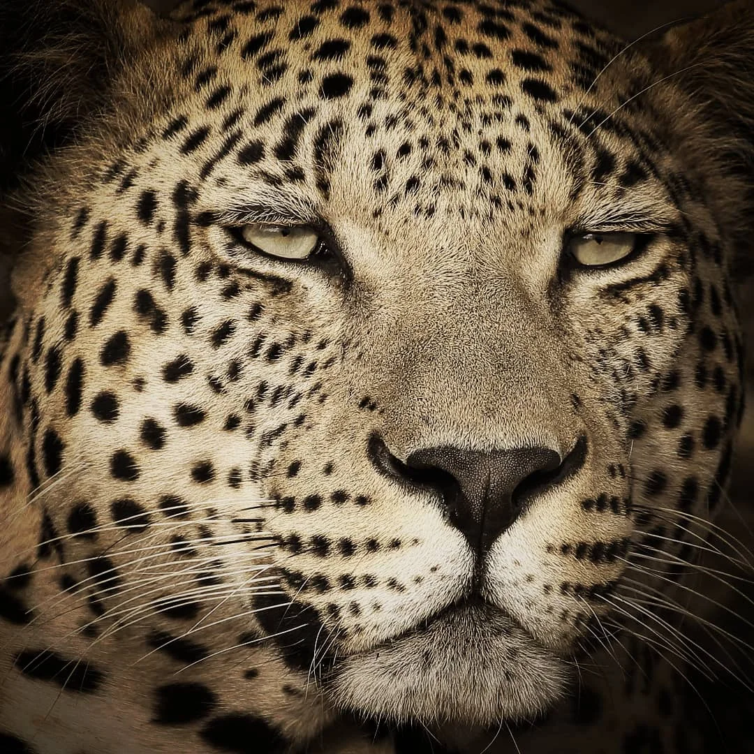 ADAM BARNARD PHOTOGRAPHY