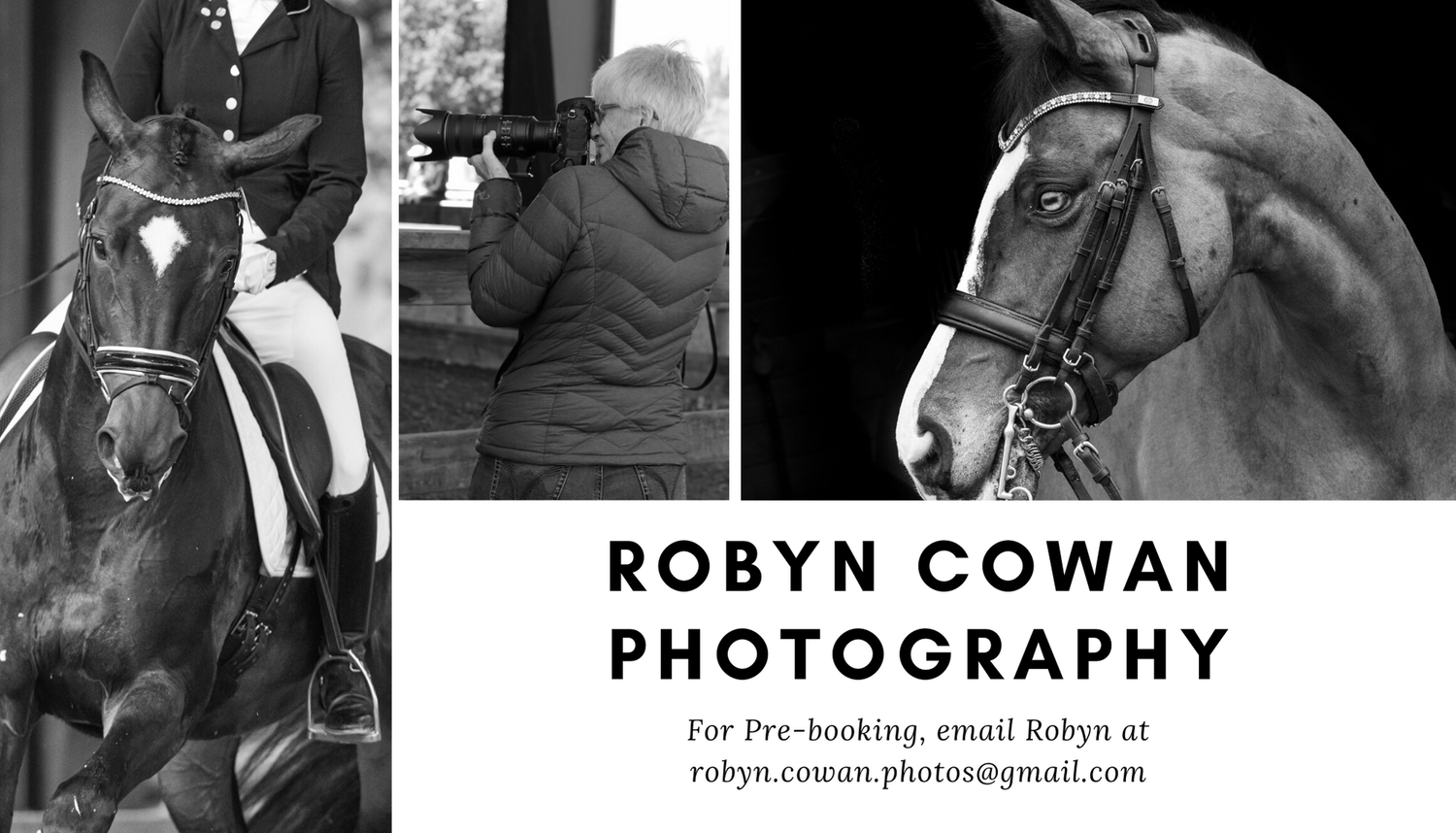 SRC Dressage Percent Day — SOUTHLANDS RIDING CLUB
