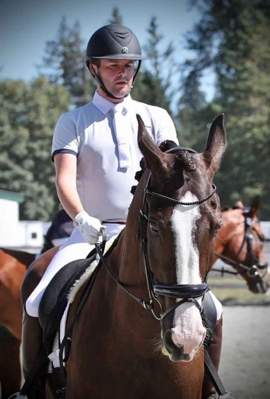 OUR BOARD OF DIRECTORS — SOUTHLANDS RIDING CLUB
