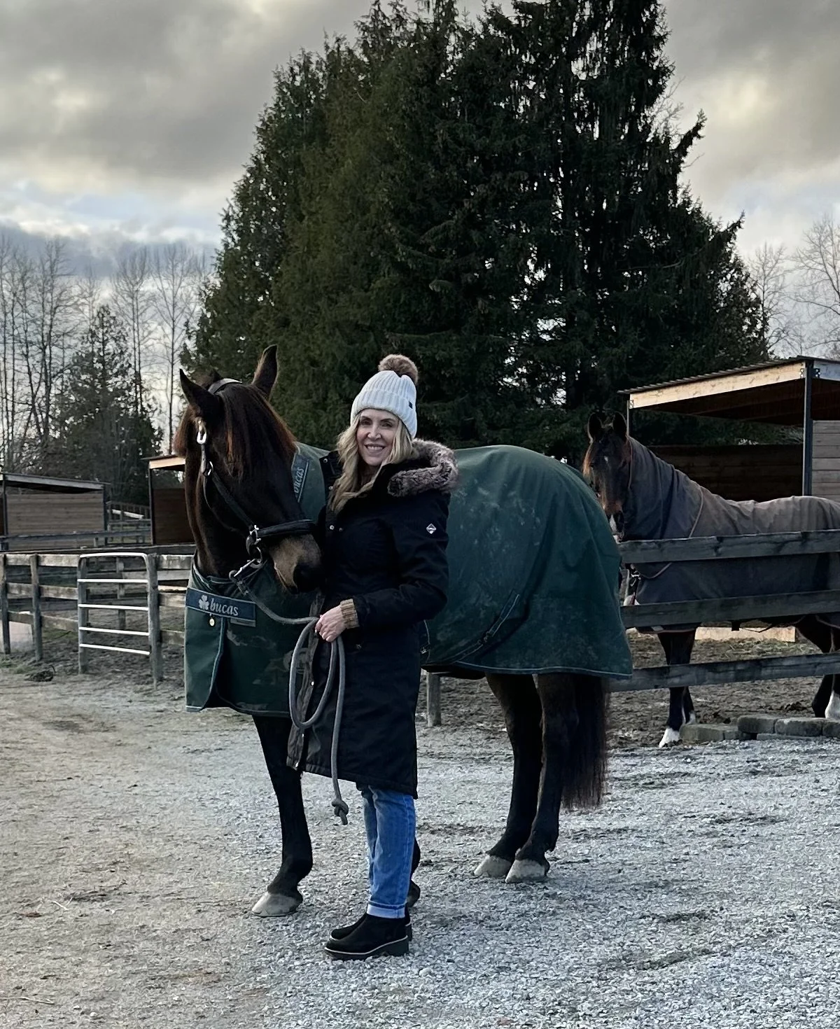 OUR BOARD OF DIRECTORS — SOUTHLANDS RIDING CLUB