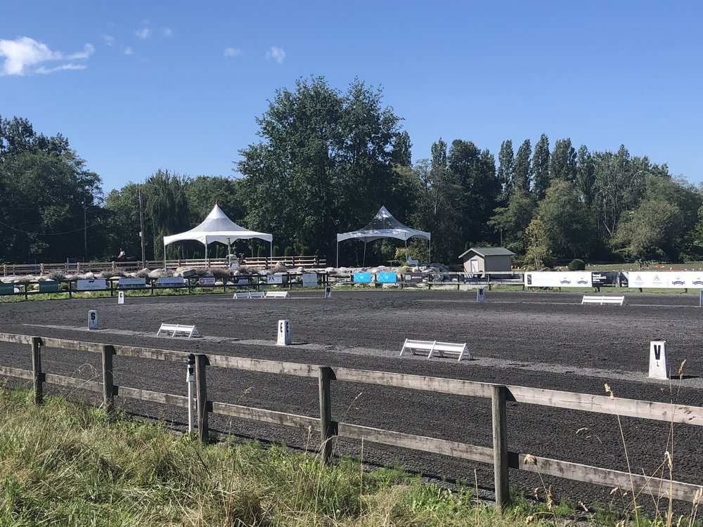 SOUTHLANDS RIDING CLUB