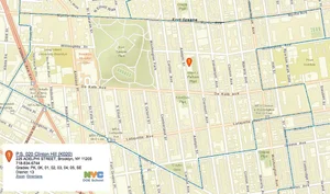 PS 20 The Clinton Hill School — PS20 School Zone