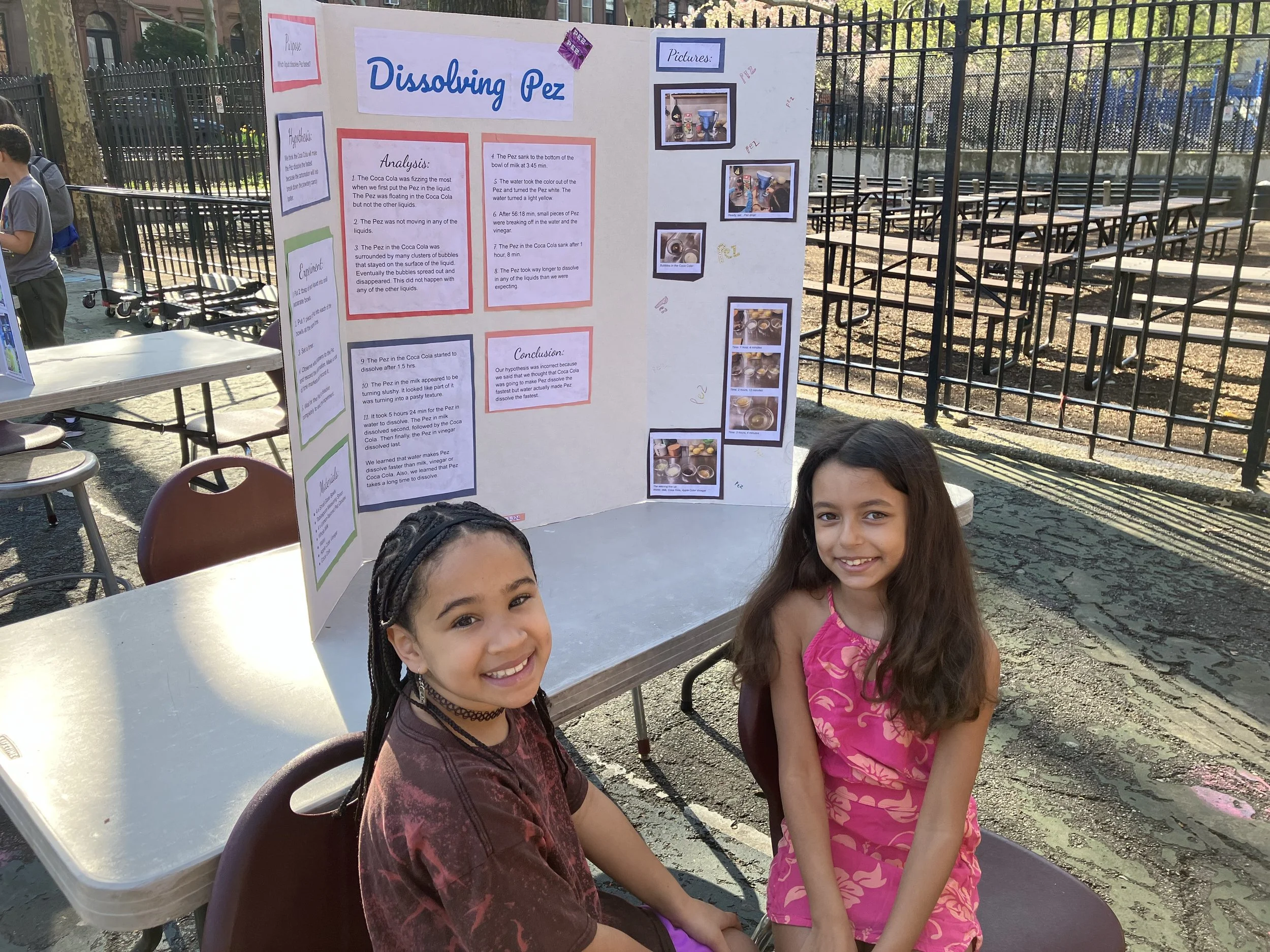PS 20 The Clinton Hill School — Gallery: 2024 Science Fair
