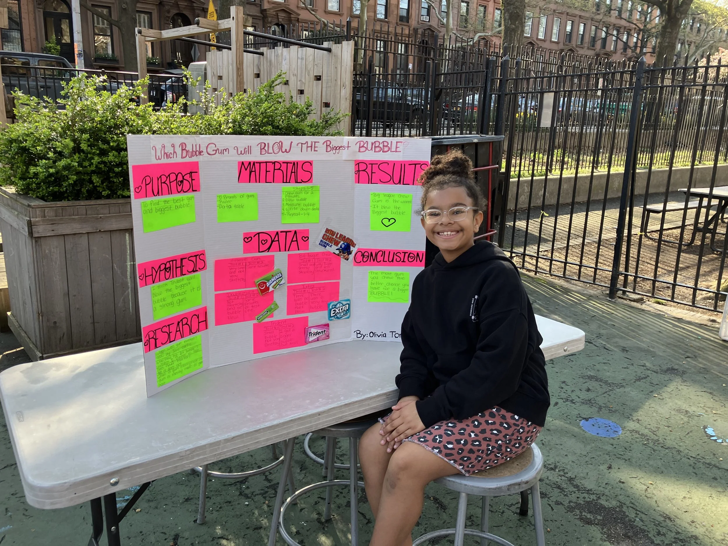 PS 20 The Clinton Hill School — Gallery: 2024 Science Fair