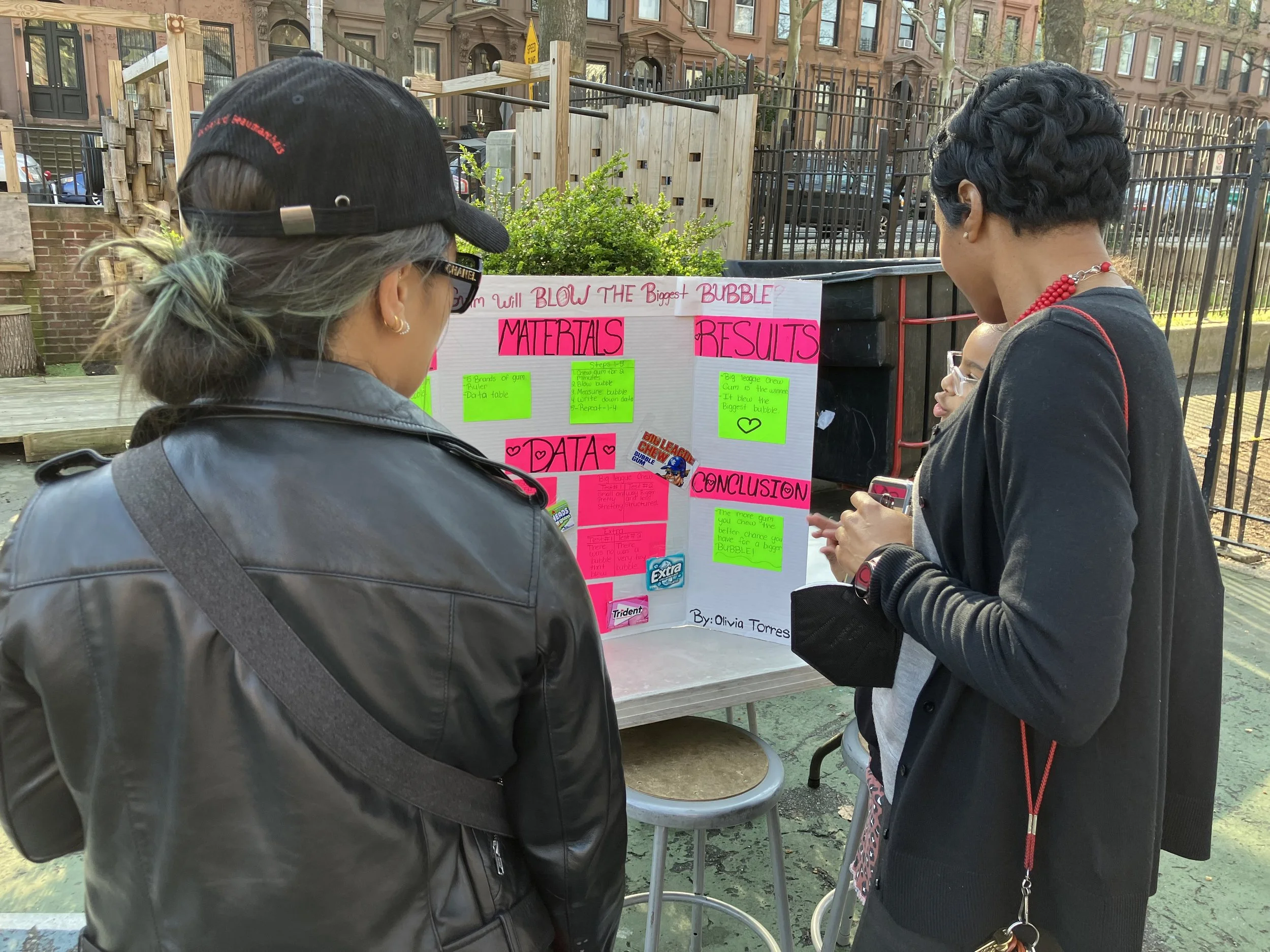 PS 20 The Clinton Hill School — Gallery: 2024 Science Fair
