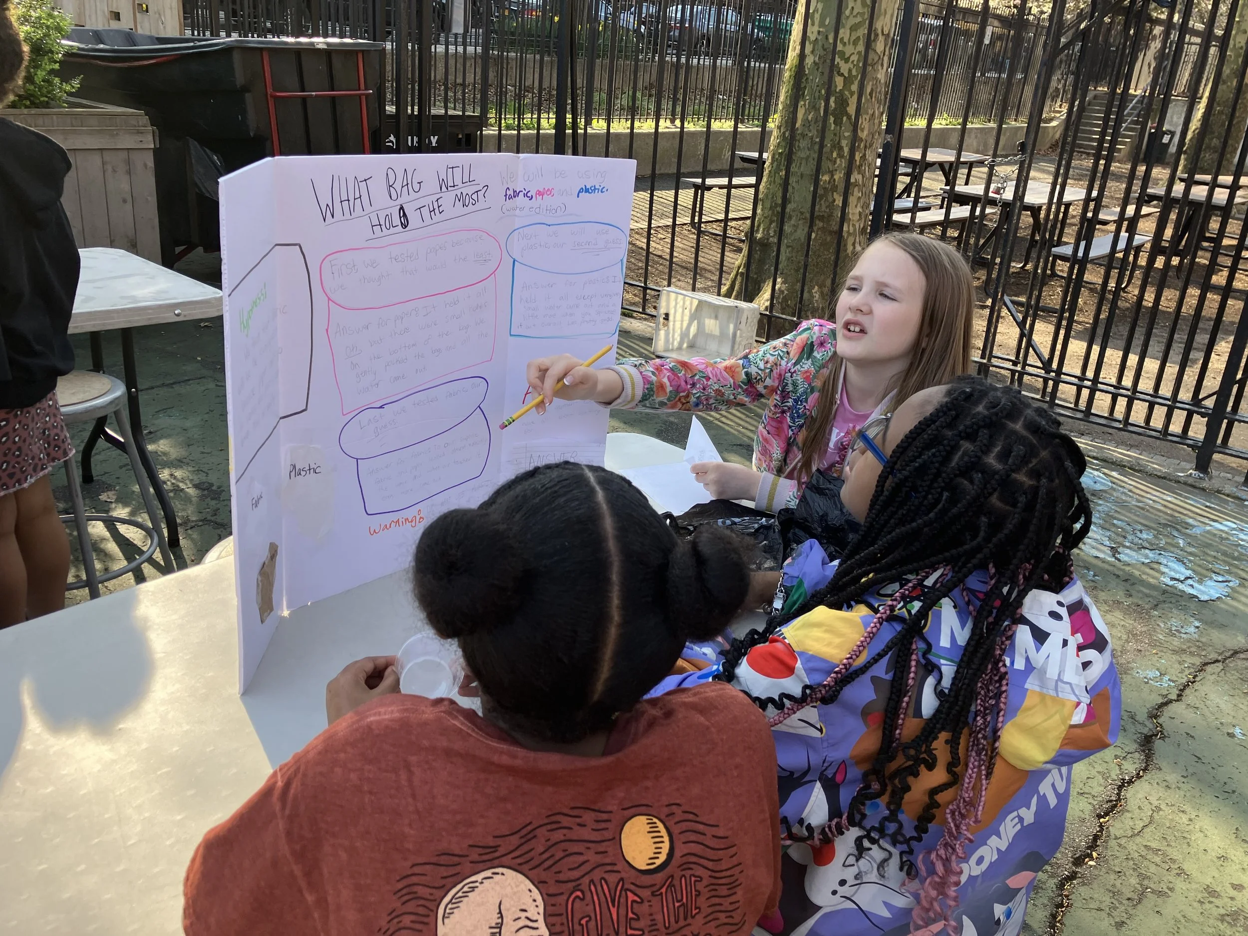PS 20 The Clinton Hill School — Gallery: 2024 Science Fair