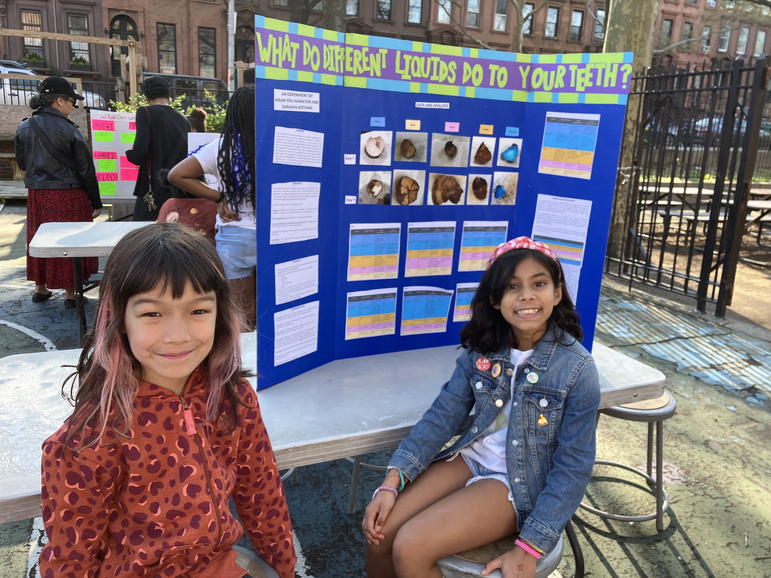 PS 20 The Clinton Hill School — Gallery: 2024 Science Fair