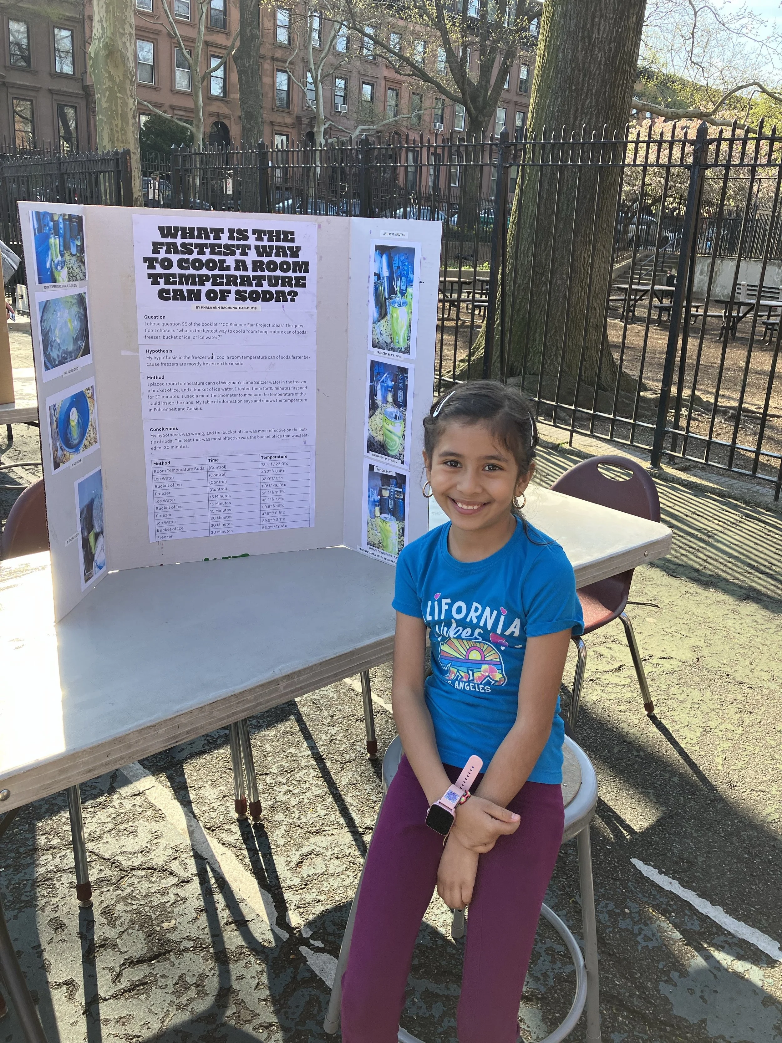 PS 20 The Clinton Hill School — Gallery: 2024 Science Fair