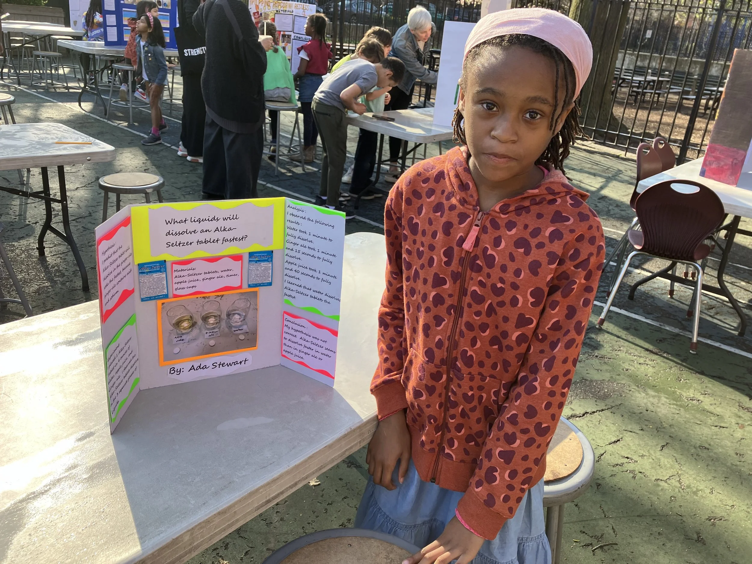 PS 20 The Clinton Hill School — Gallery: 2024 Science Fair