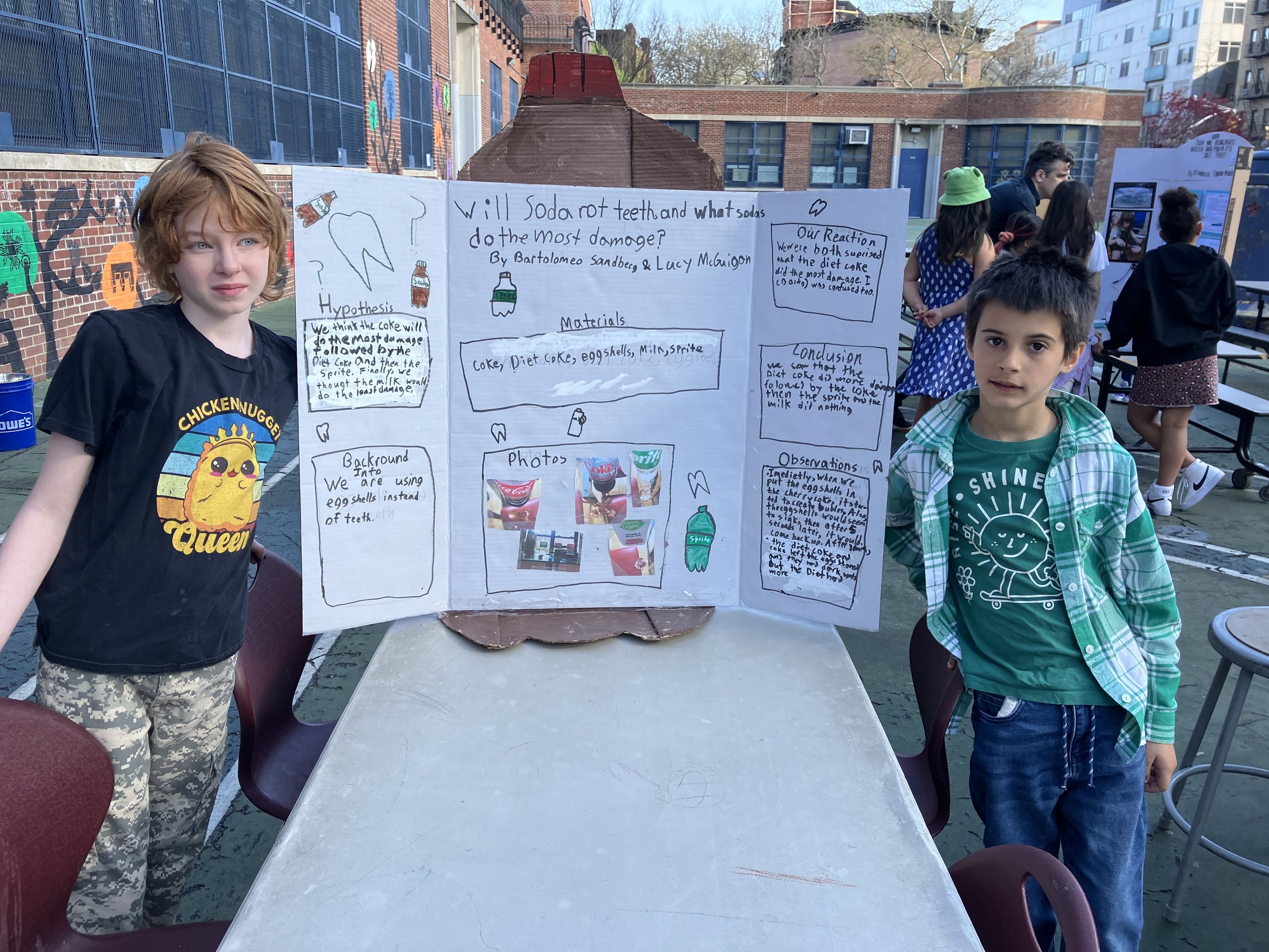 PS 20 The Clinton Hill School — Gallery: 2024 Science Fair