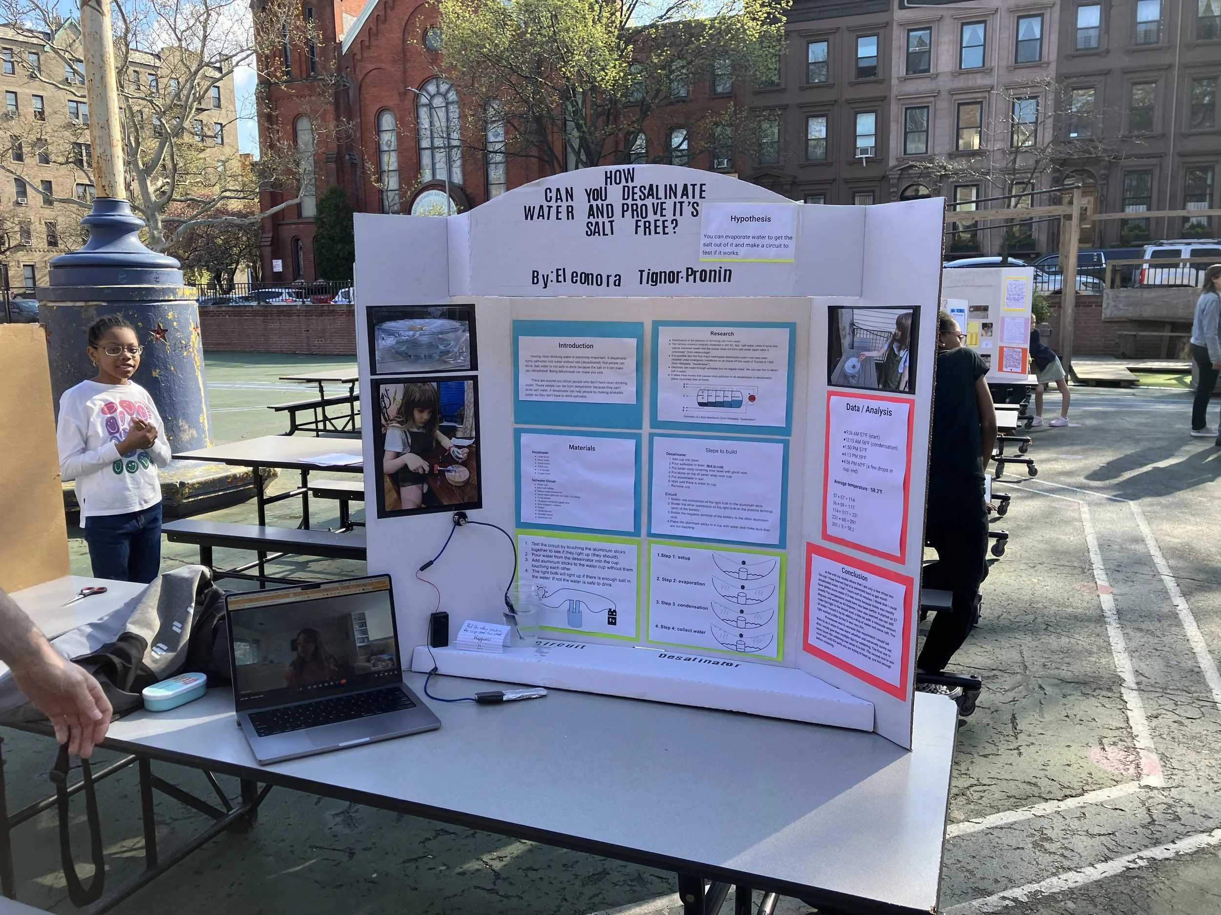PS 20 The Clinton Hill School — Science Fair 2025