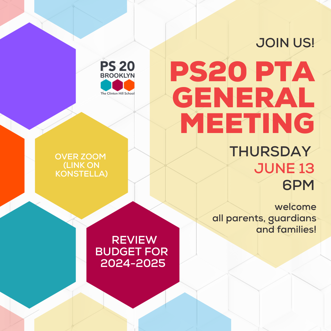 PS 20 The Clinton Hill School — PTA Events