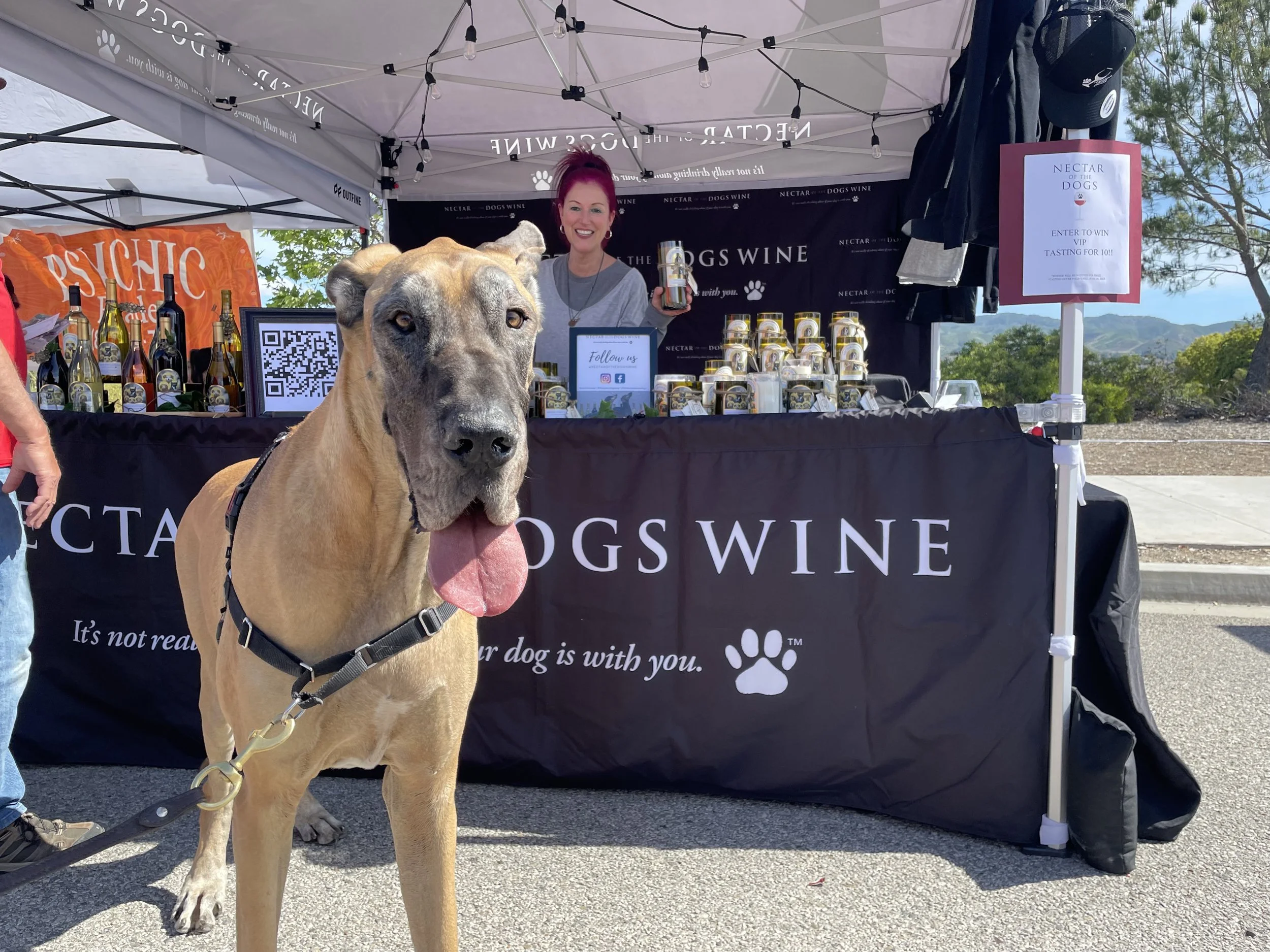 Nectar of the Dogs Wine ️🐾🍷