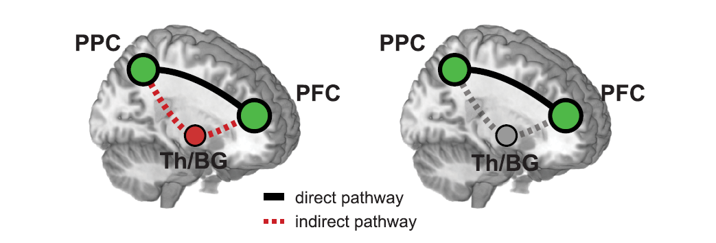 Fiebach Lab for Cognitive Neuroscience