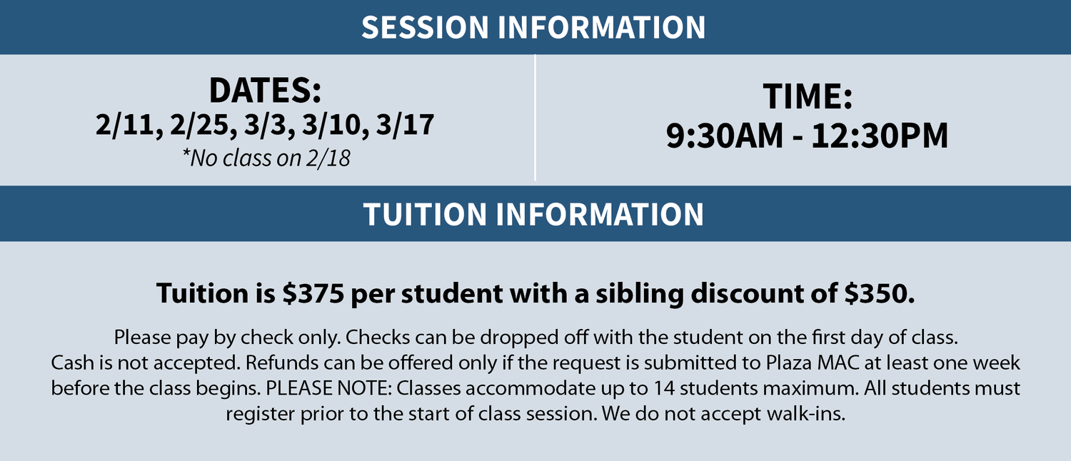 Animation Classes — The Plaza Cinema & Media Arts Center