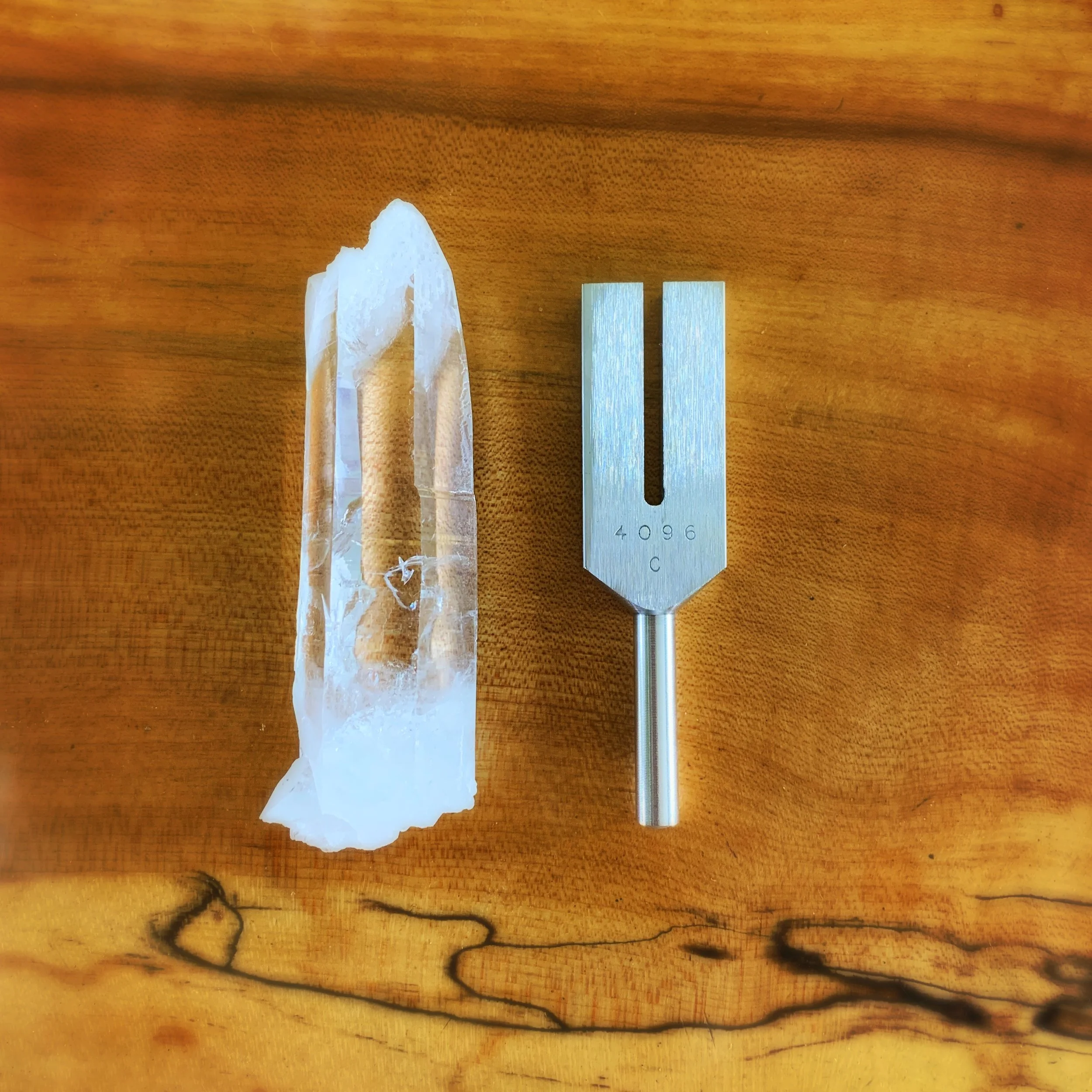 Mountain Hollow Medicinals