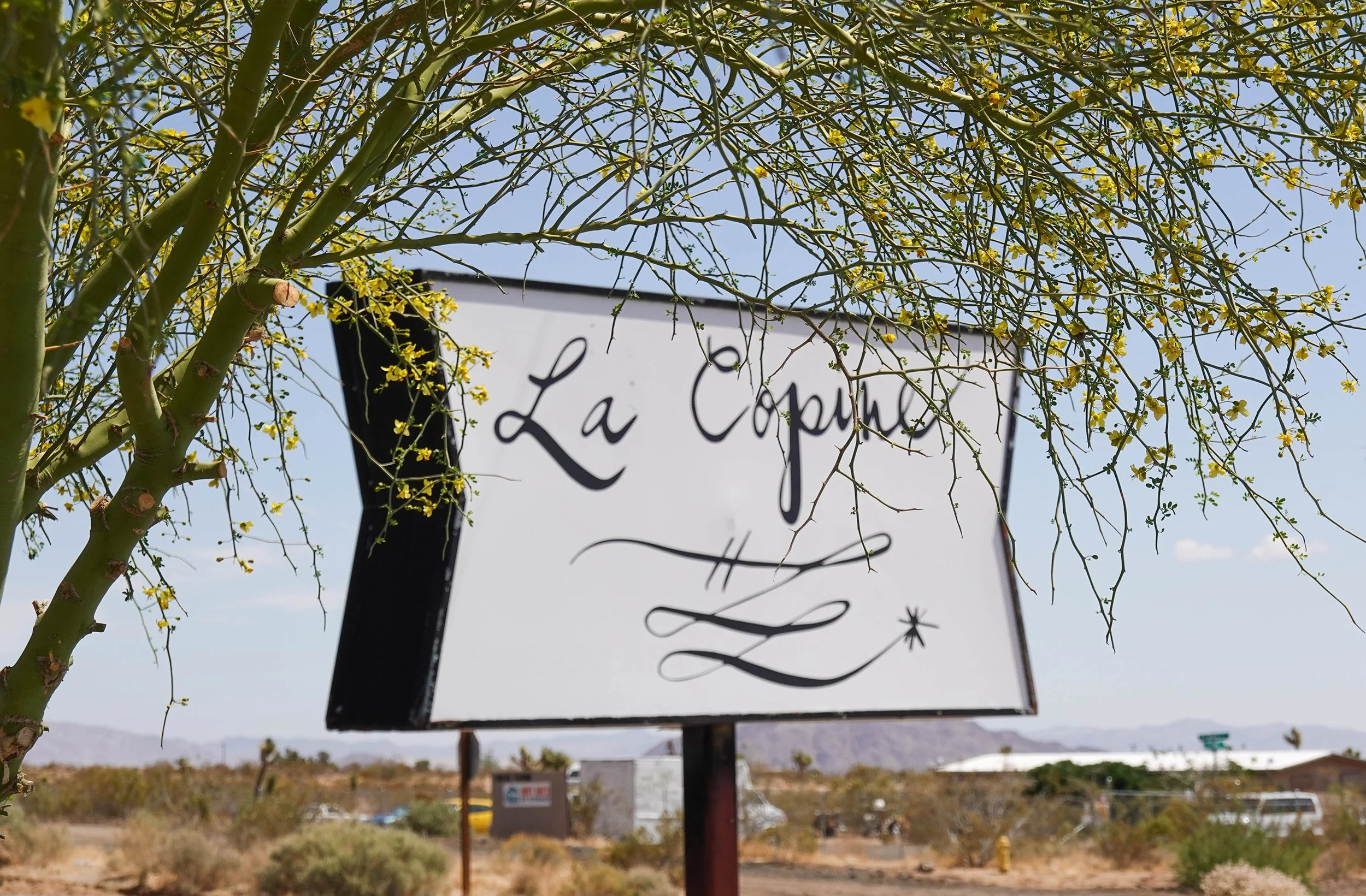 Dining at La Copine, The Best Restaurant Near Joshua Tree | NJ IN LA ...
