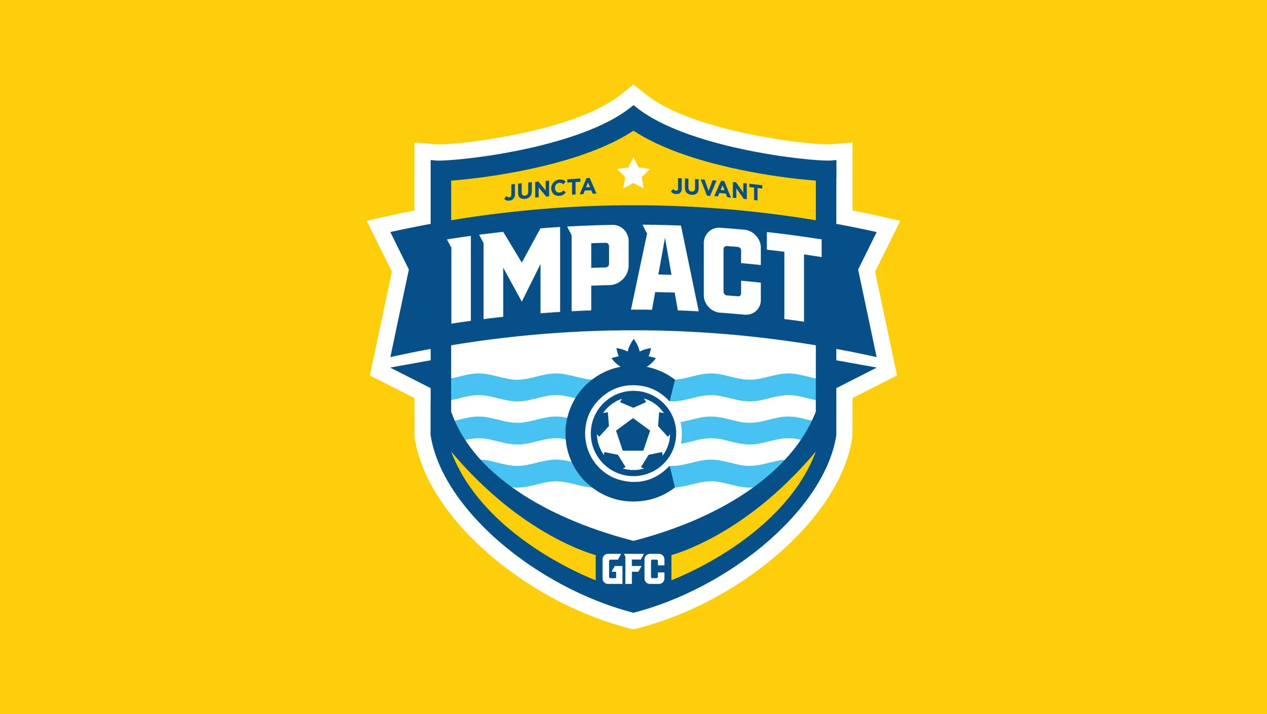 Impact GFC — Creative Punch Marketing Group | Branding, Design ...