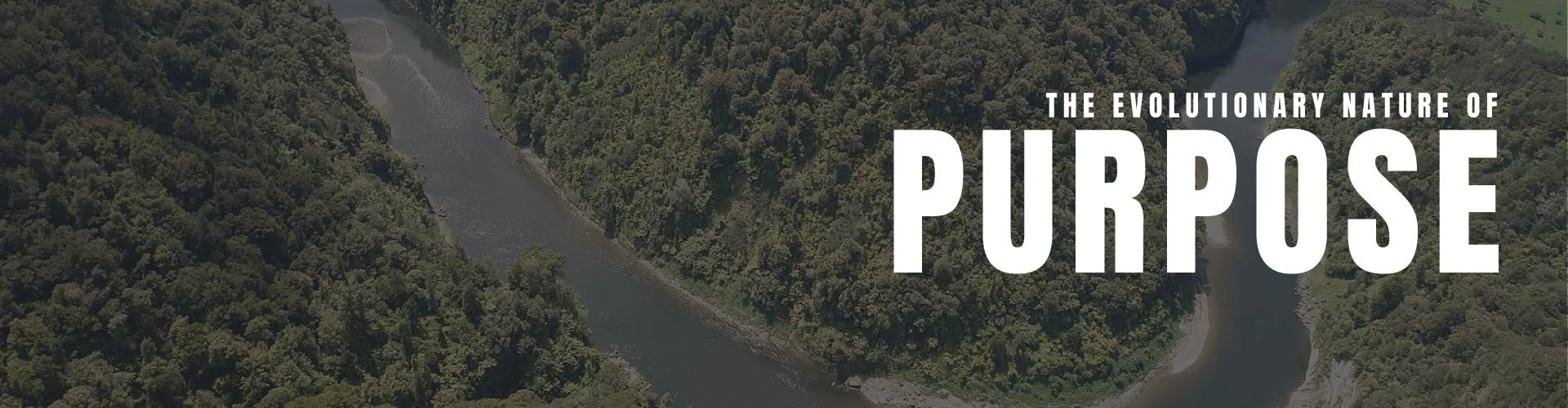 The Evolutionary Nature of Purpose - Human First Works