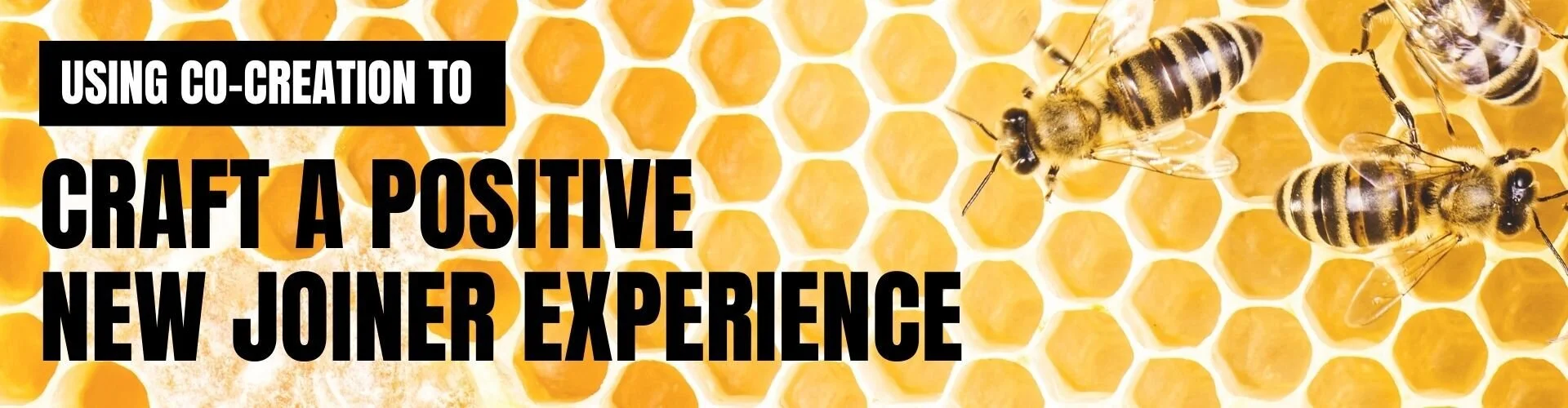 Using Co-Creation to Craft a Positive New Joiner Experience - Human ...