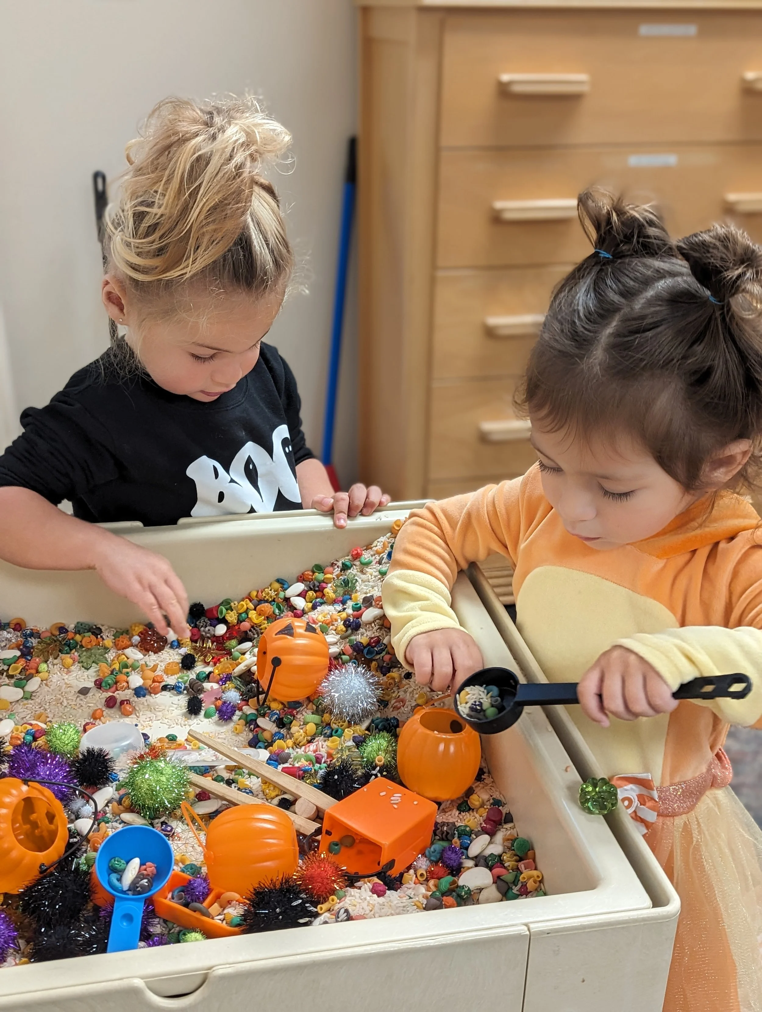 Twos Class — Pittsford Nursery School