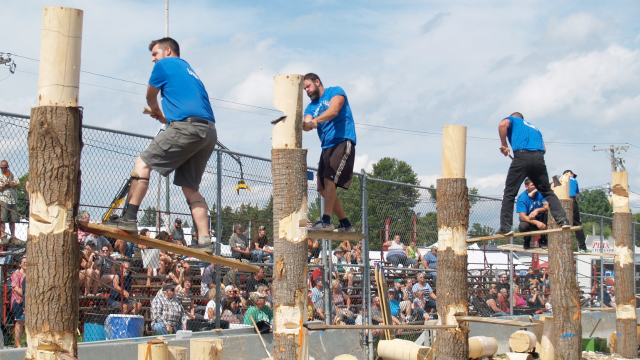 DWC will be at The NYS Woodsmens Field Days event 2024 — Digital Wood ...
