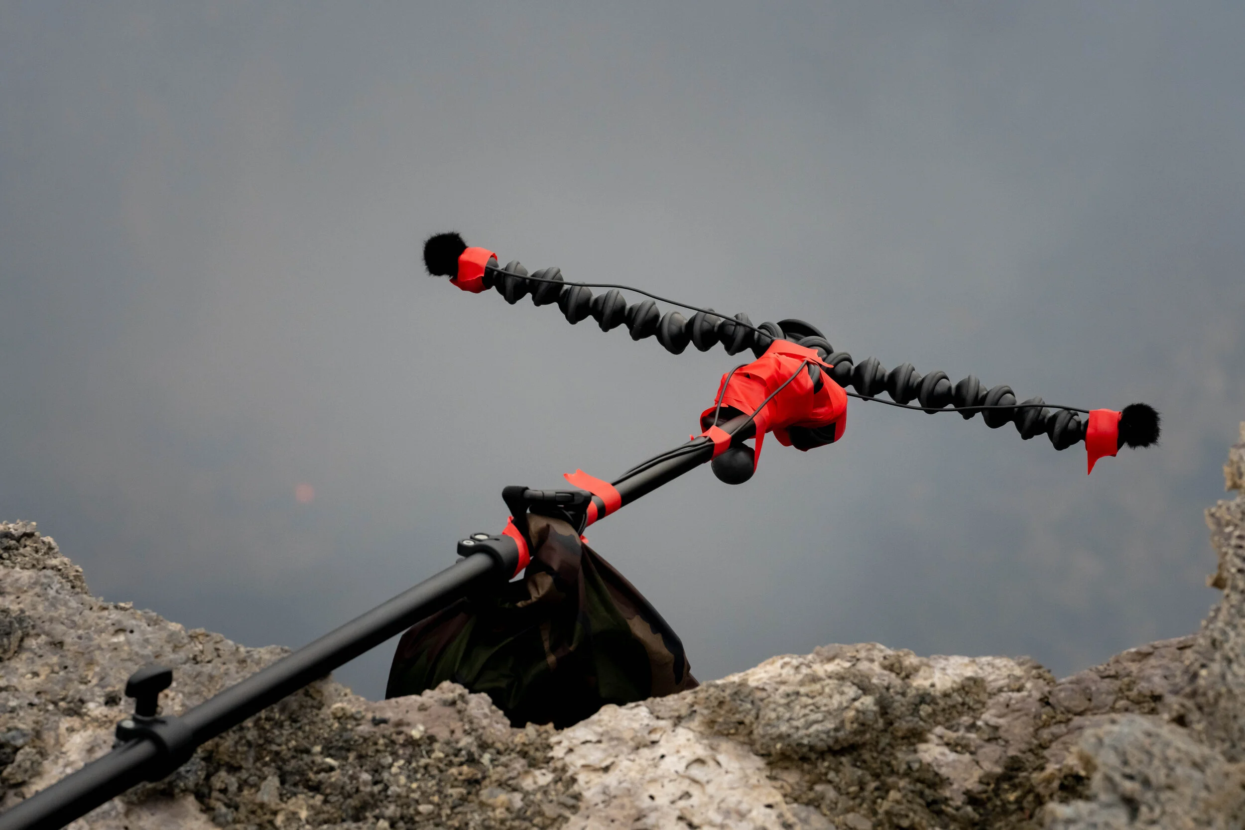 Best microphones for nature and wildlife sound recording — Mindful Audio