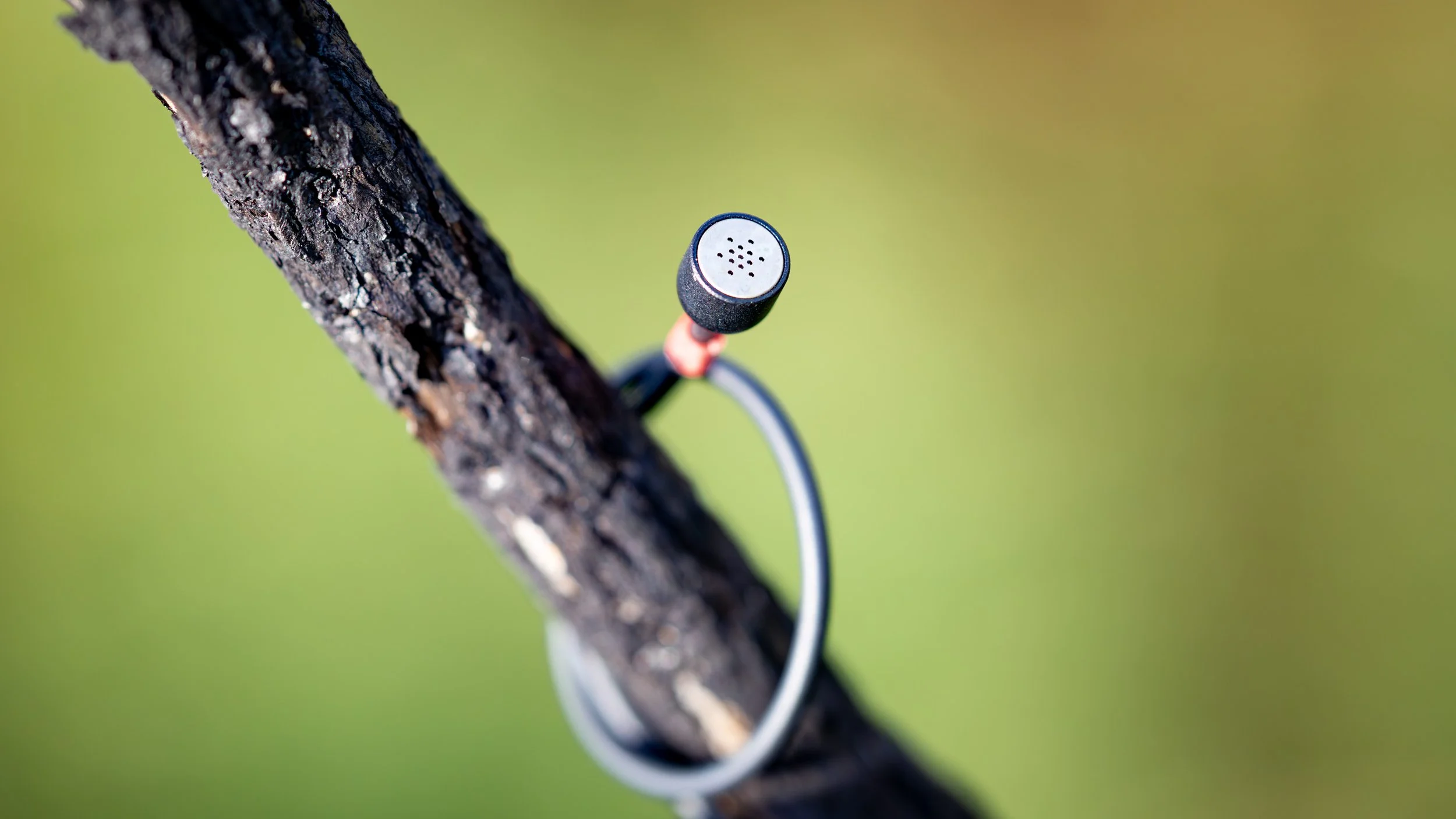 Field recording stories — Mindful Audio