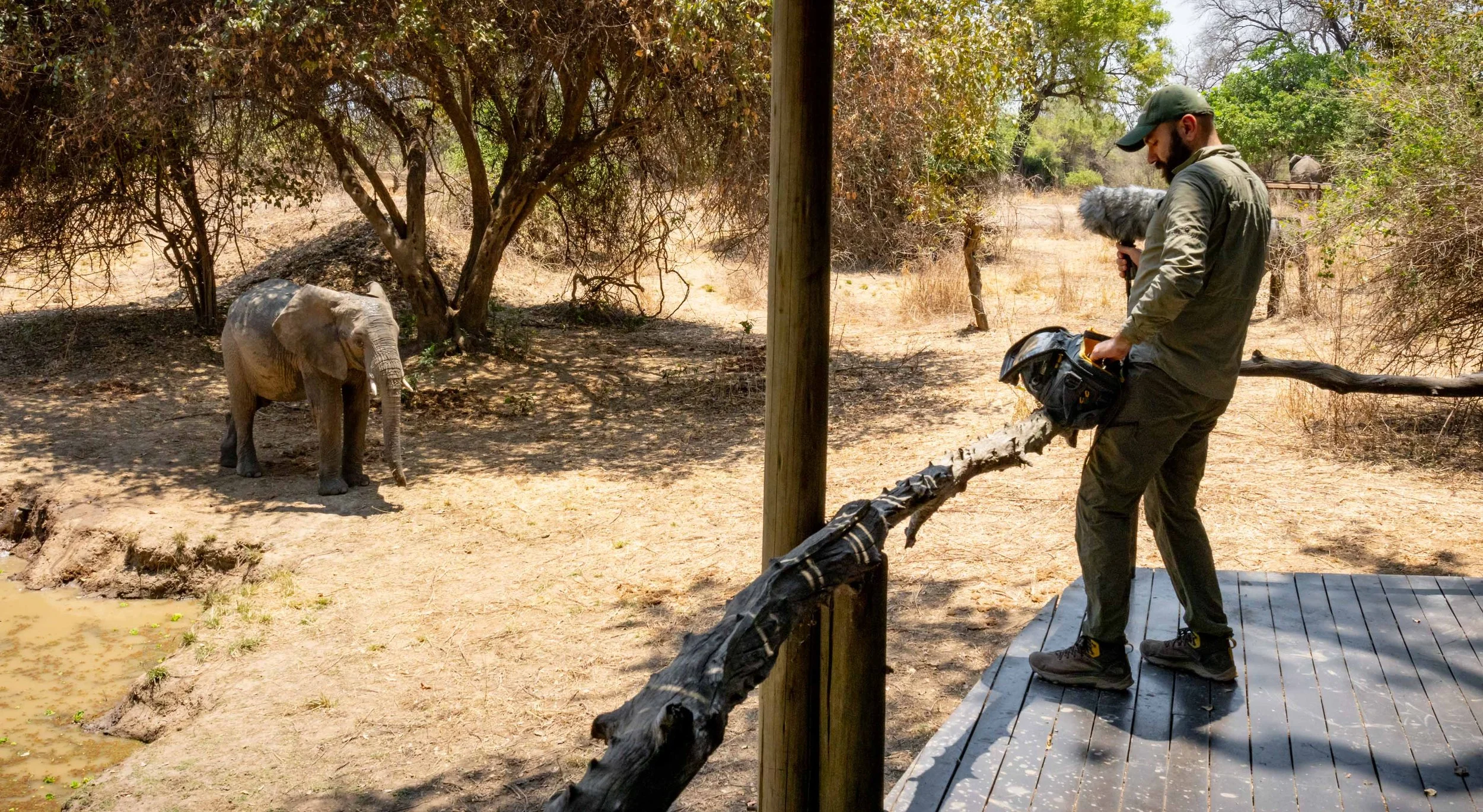 Field recording stories — Mindful Audio