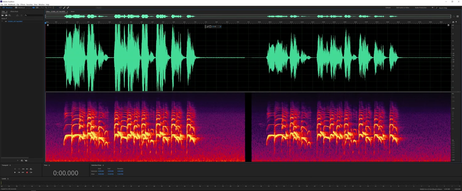 32-bit field recording — Mindful Audio