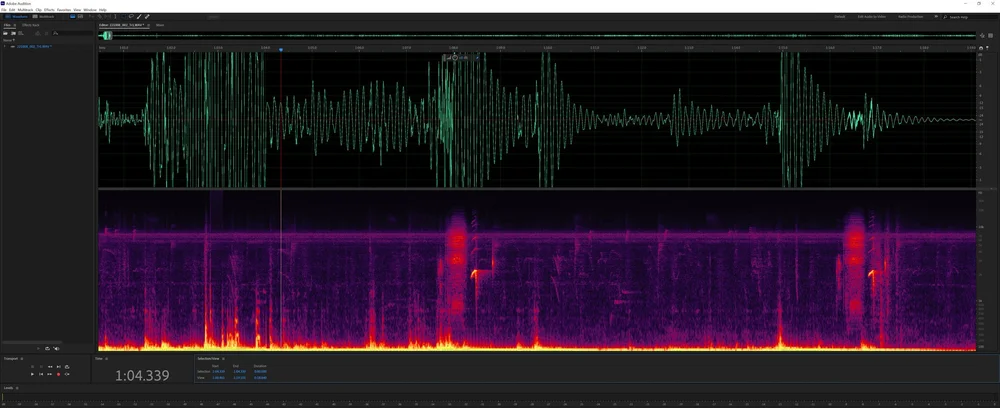 32-bit field recording — Mindful Audio