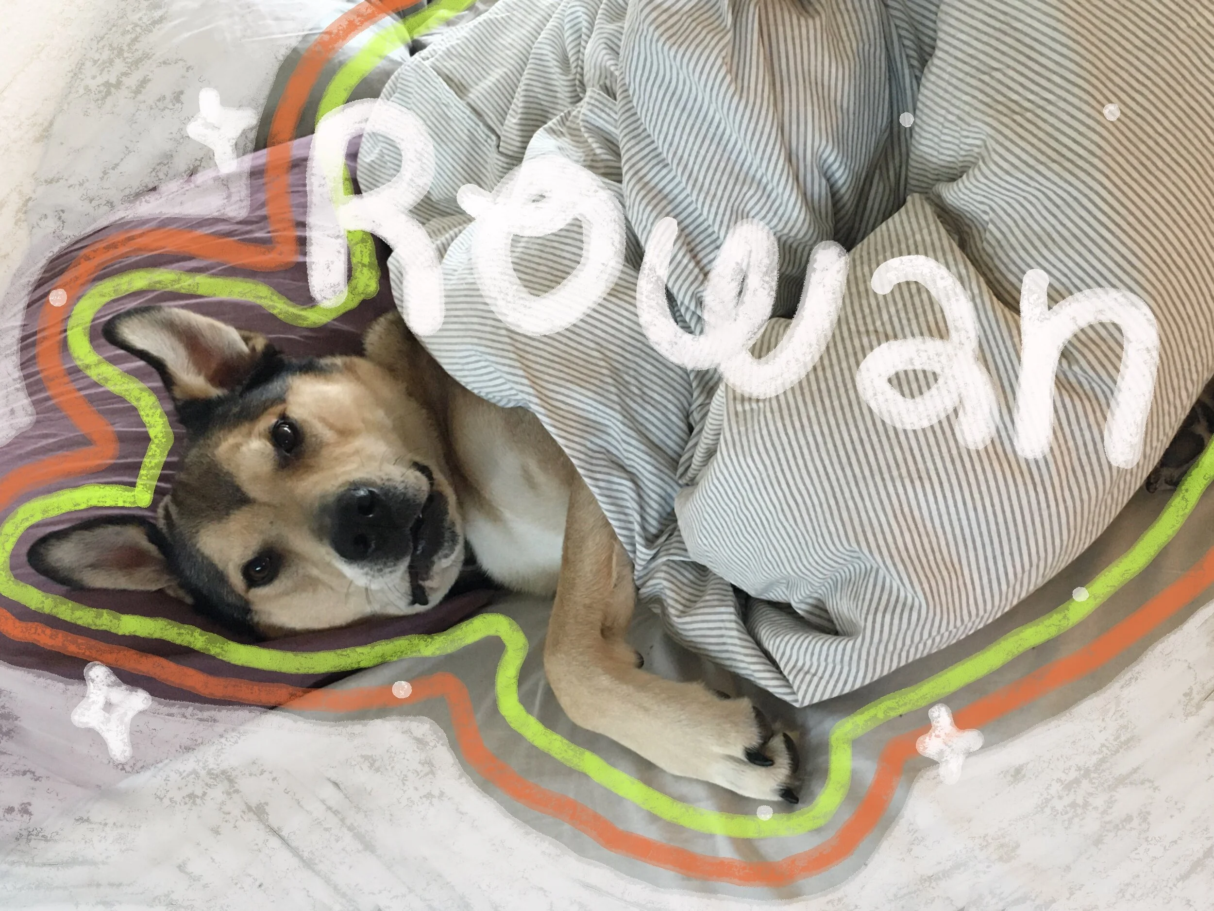 About — Al Polston