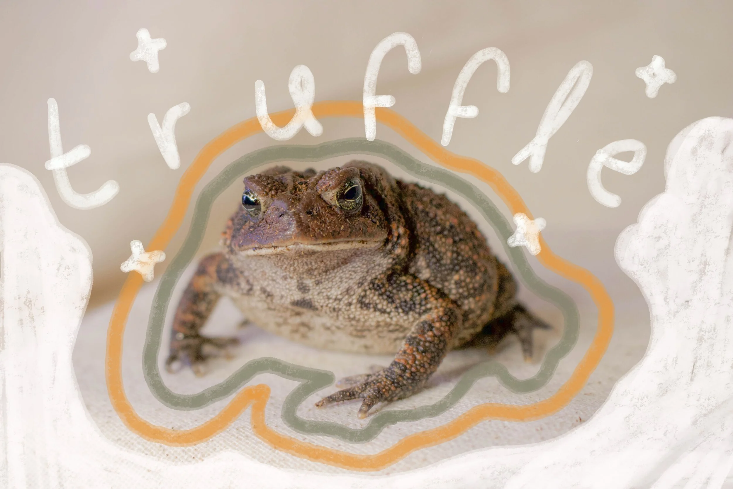 About — Al Polston