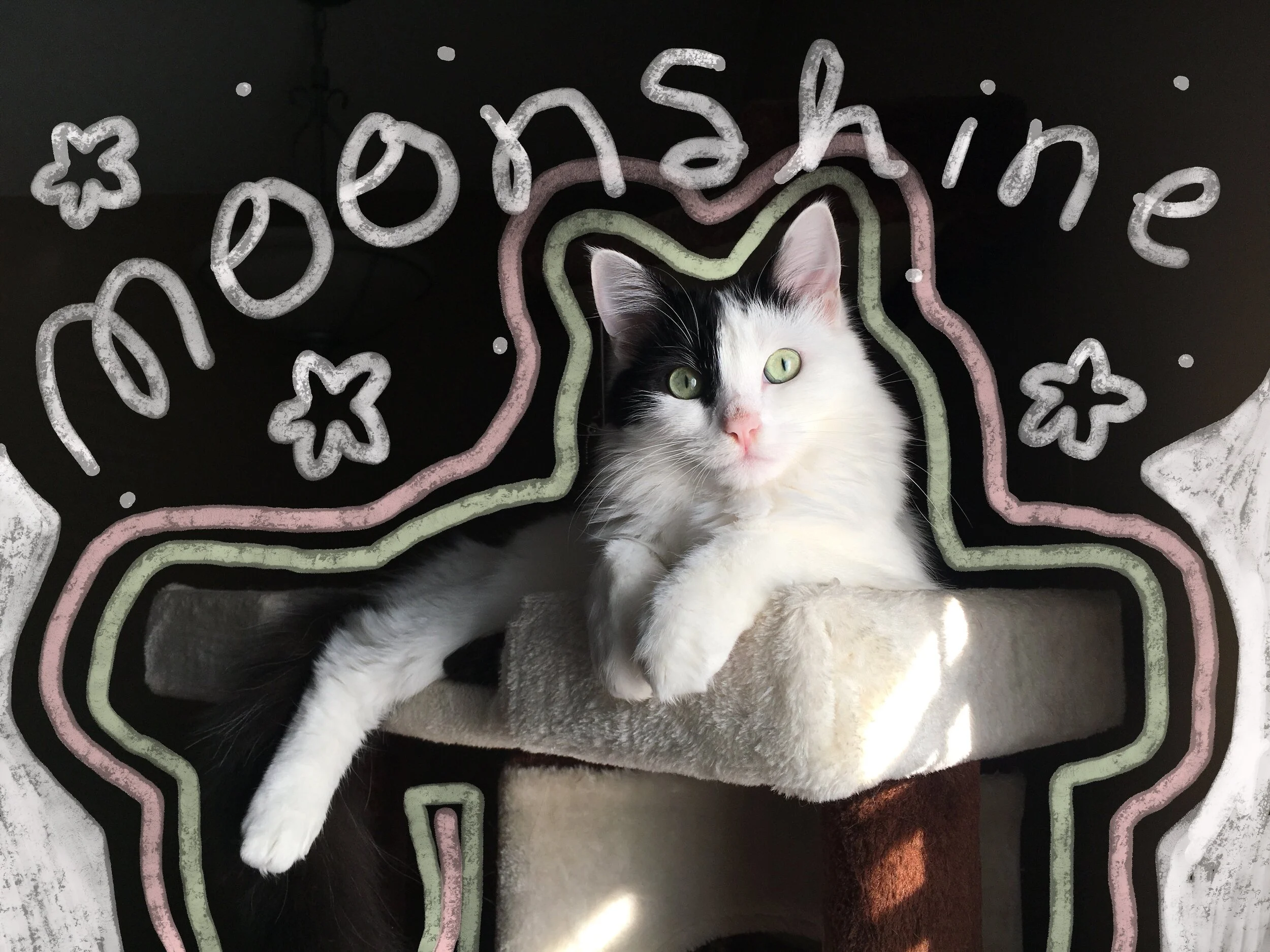 About — Al Polston