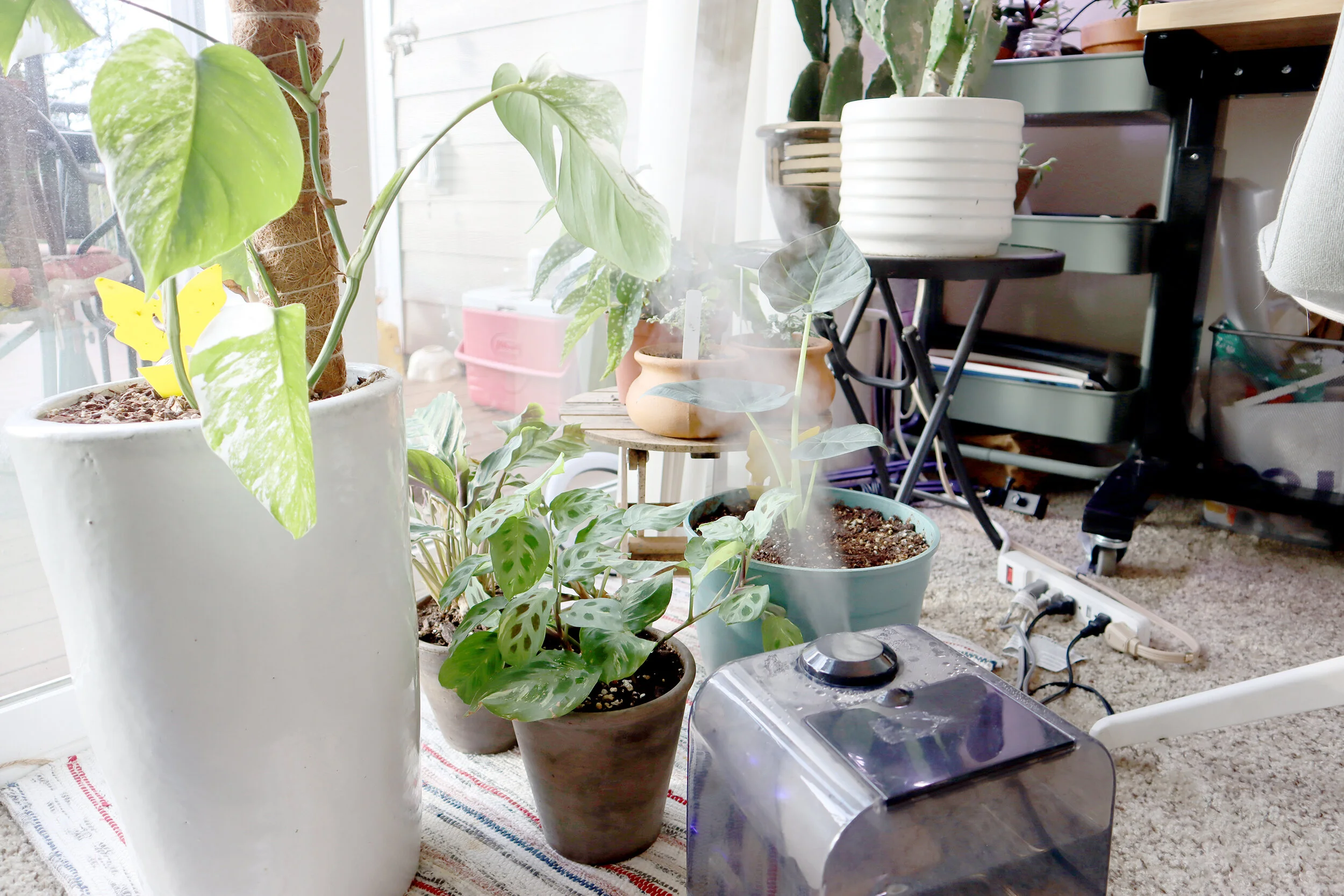 About — Al Polston