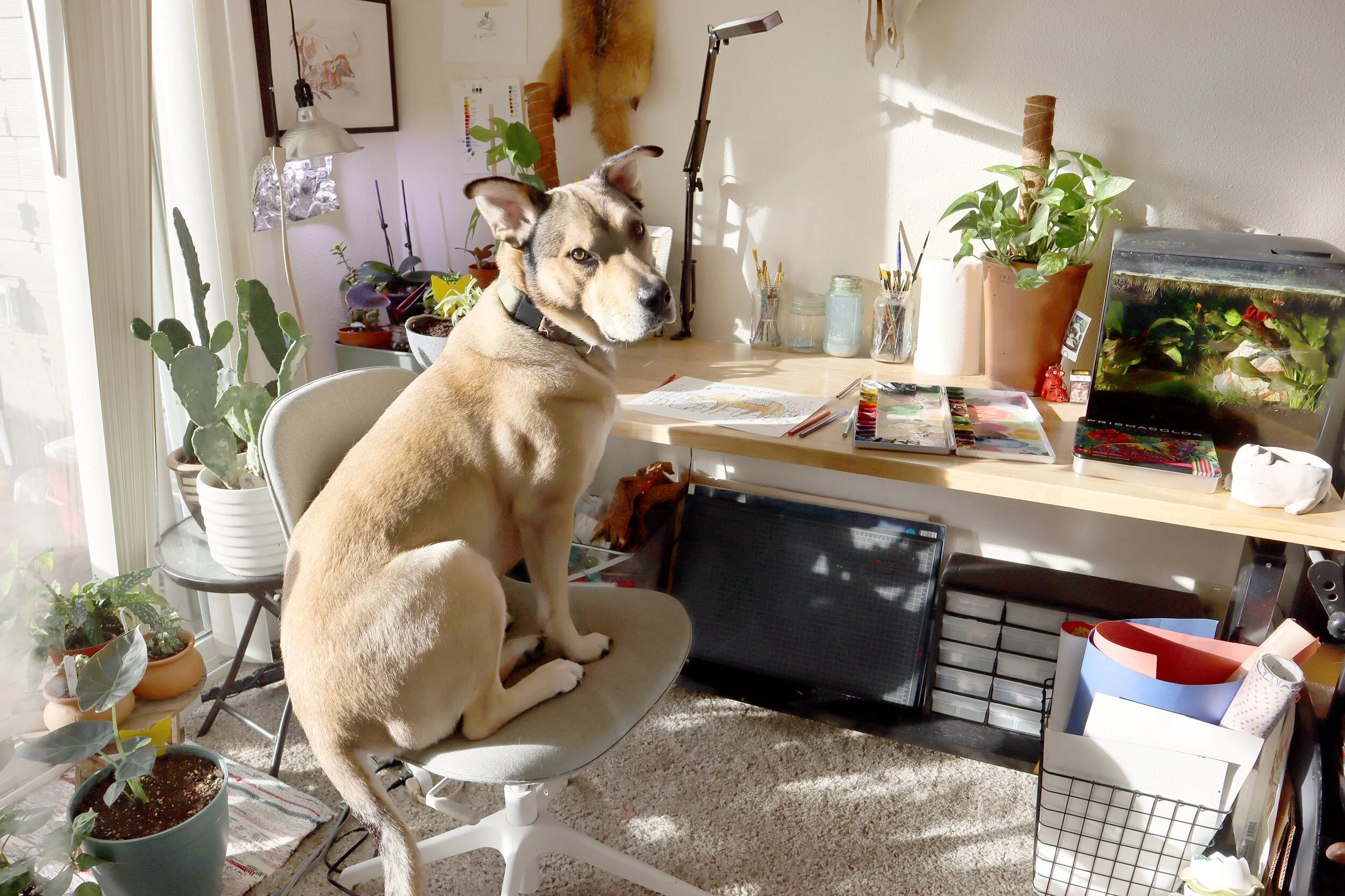 About — Al Polston