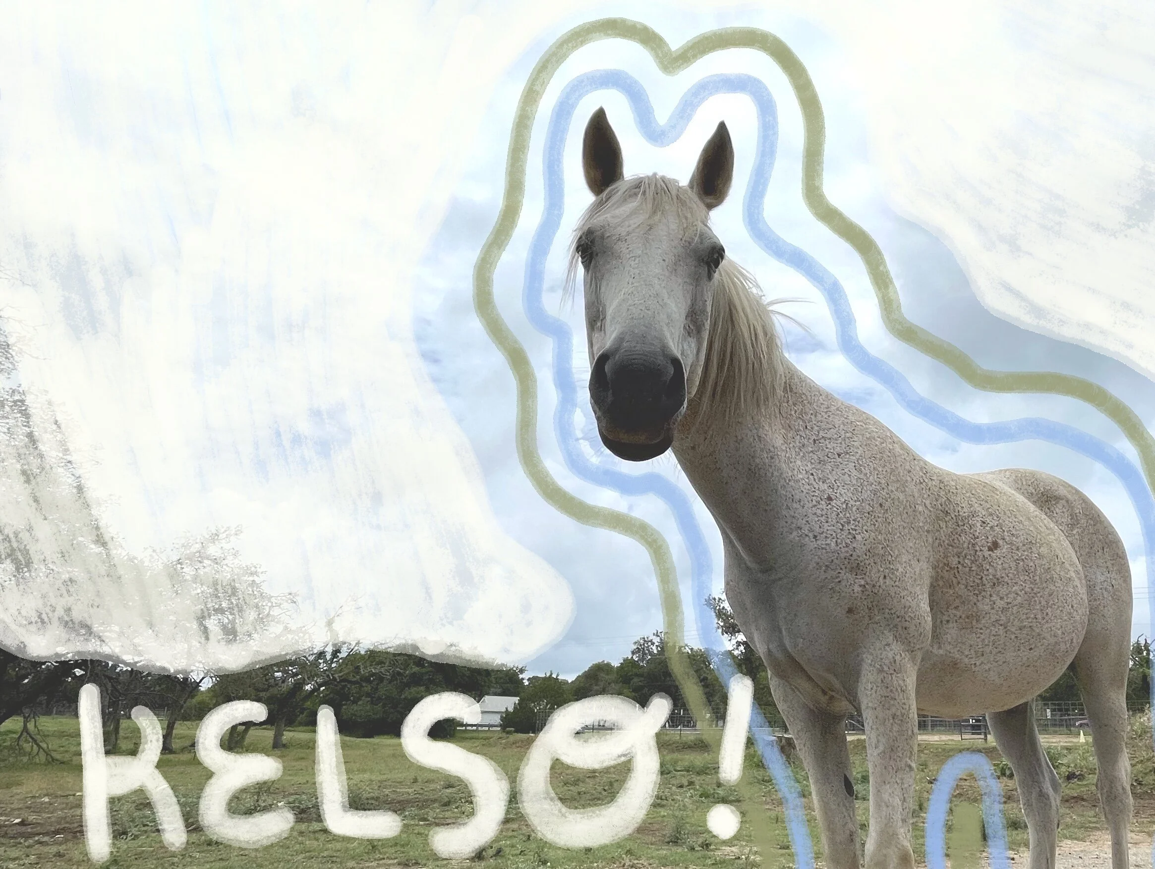 About — Al Polston