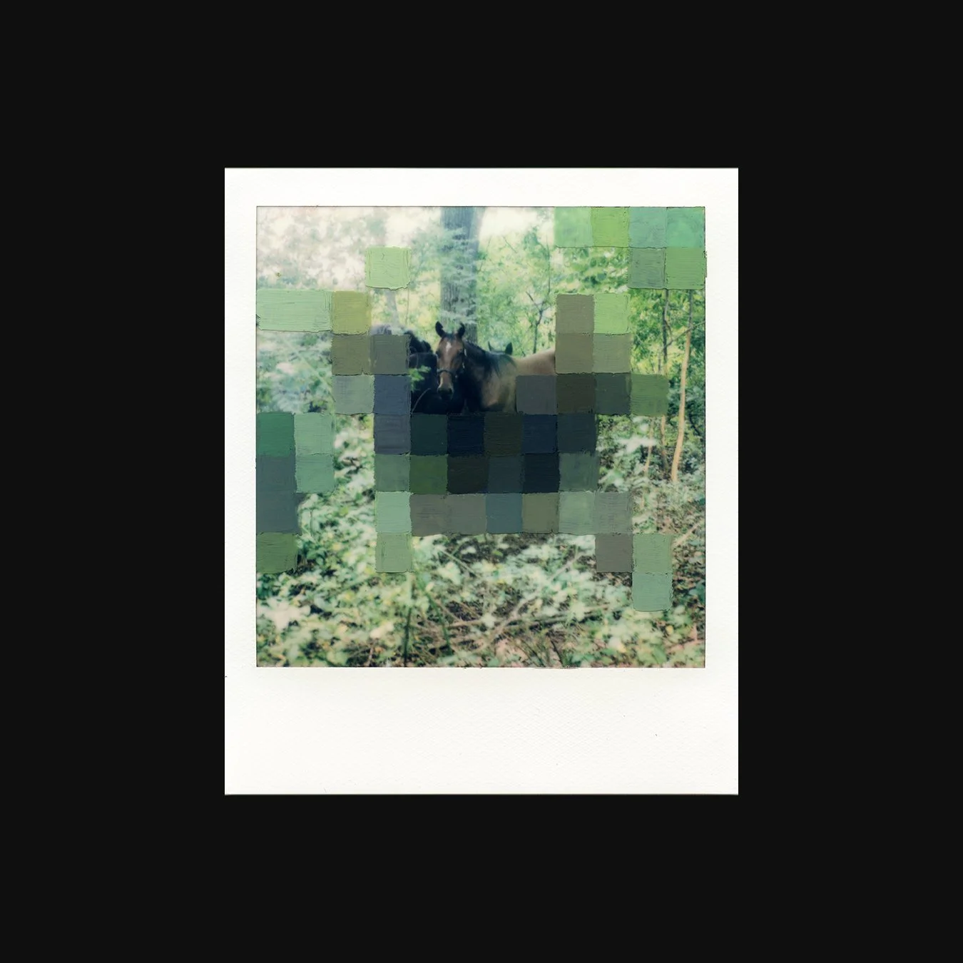 Catherine Graffam — 13FOREST Gallery