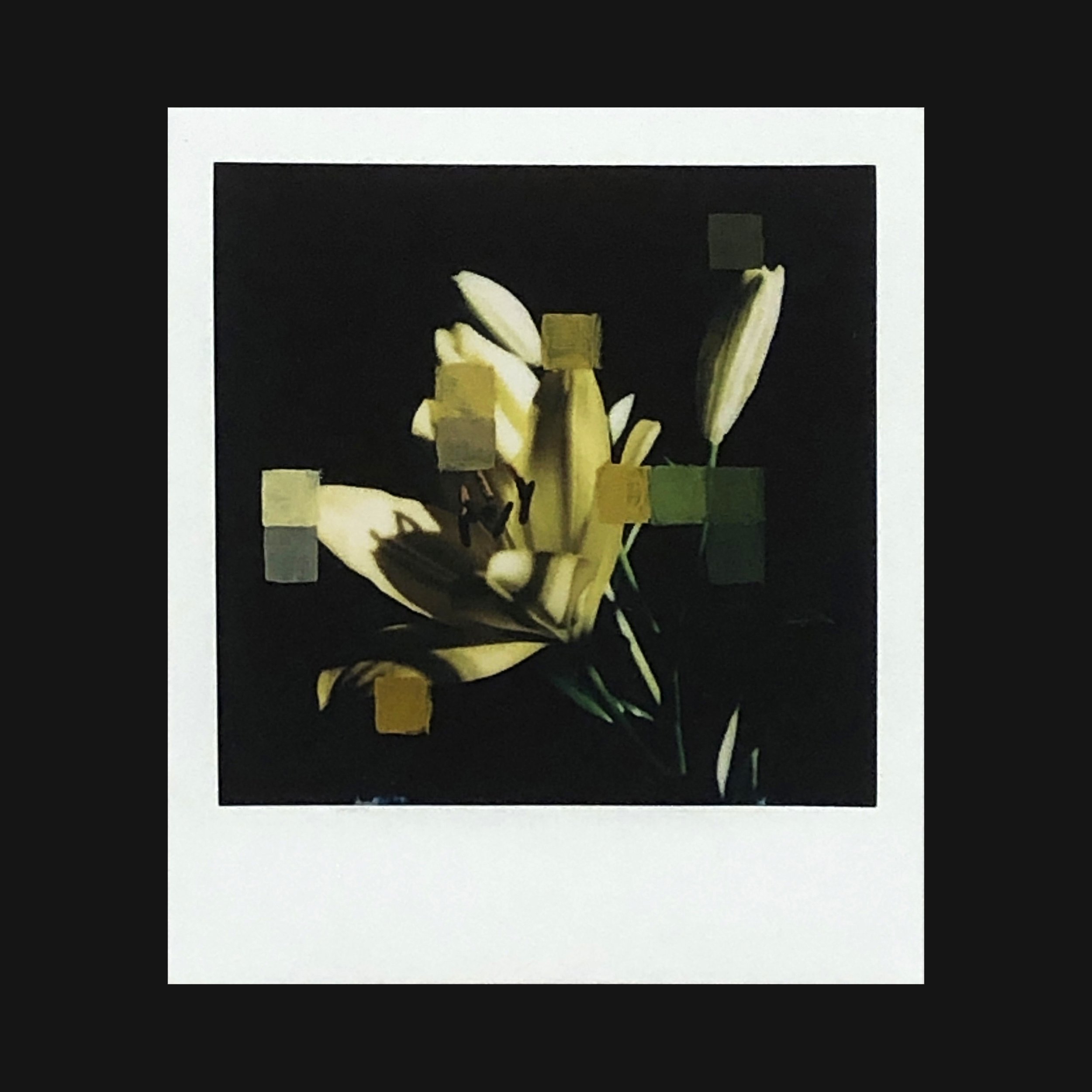 Catherine Graffam — 13FOREST Gallery