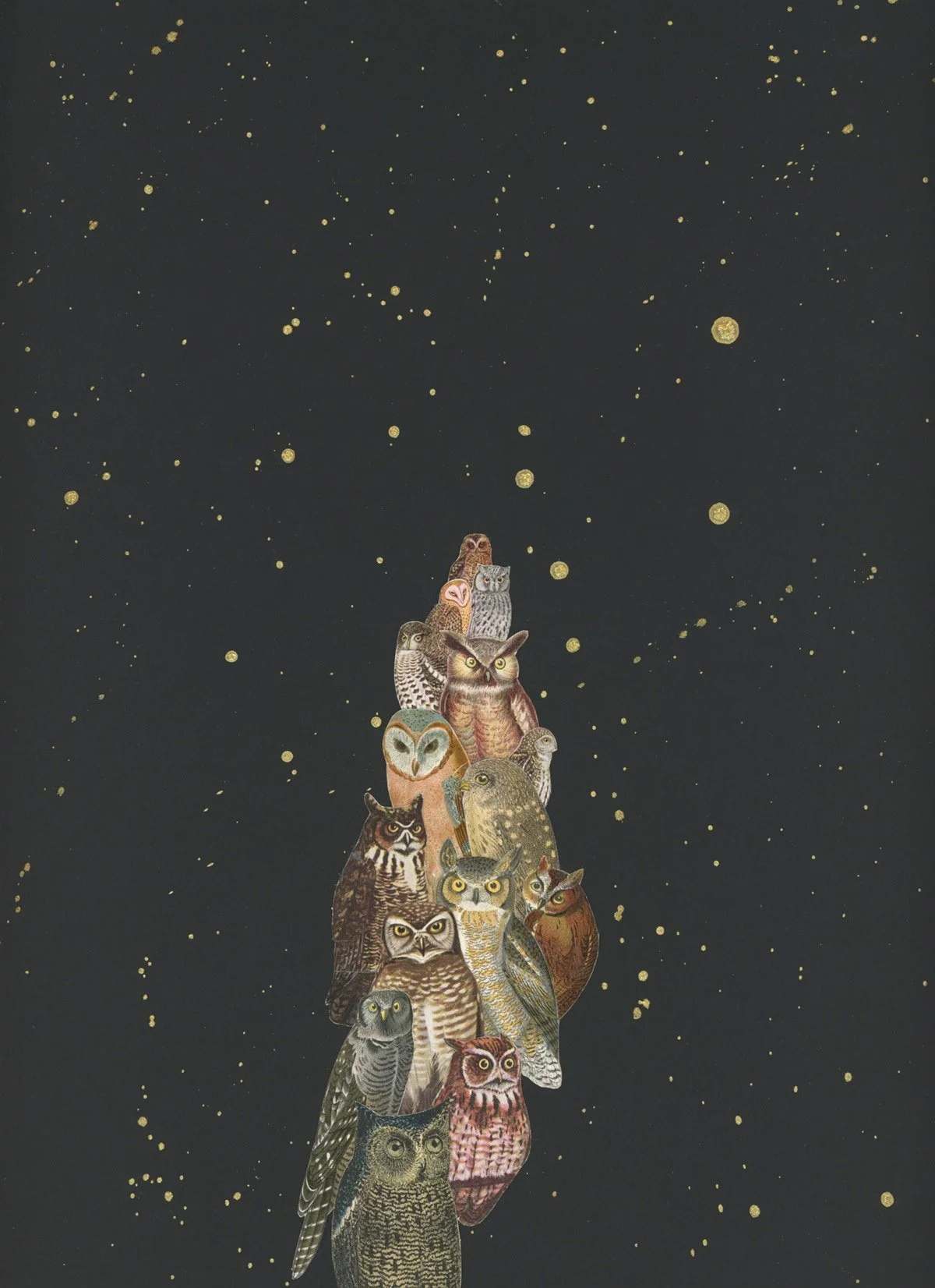 Amy Ross — 13FOREST Gallery