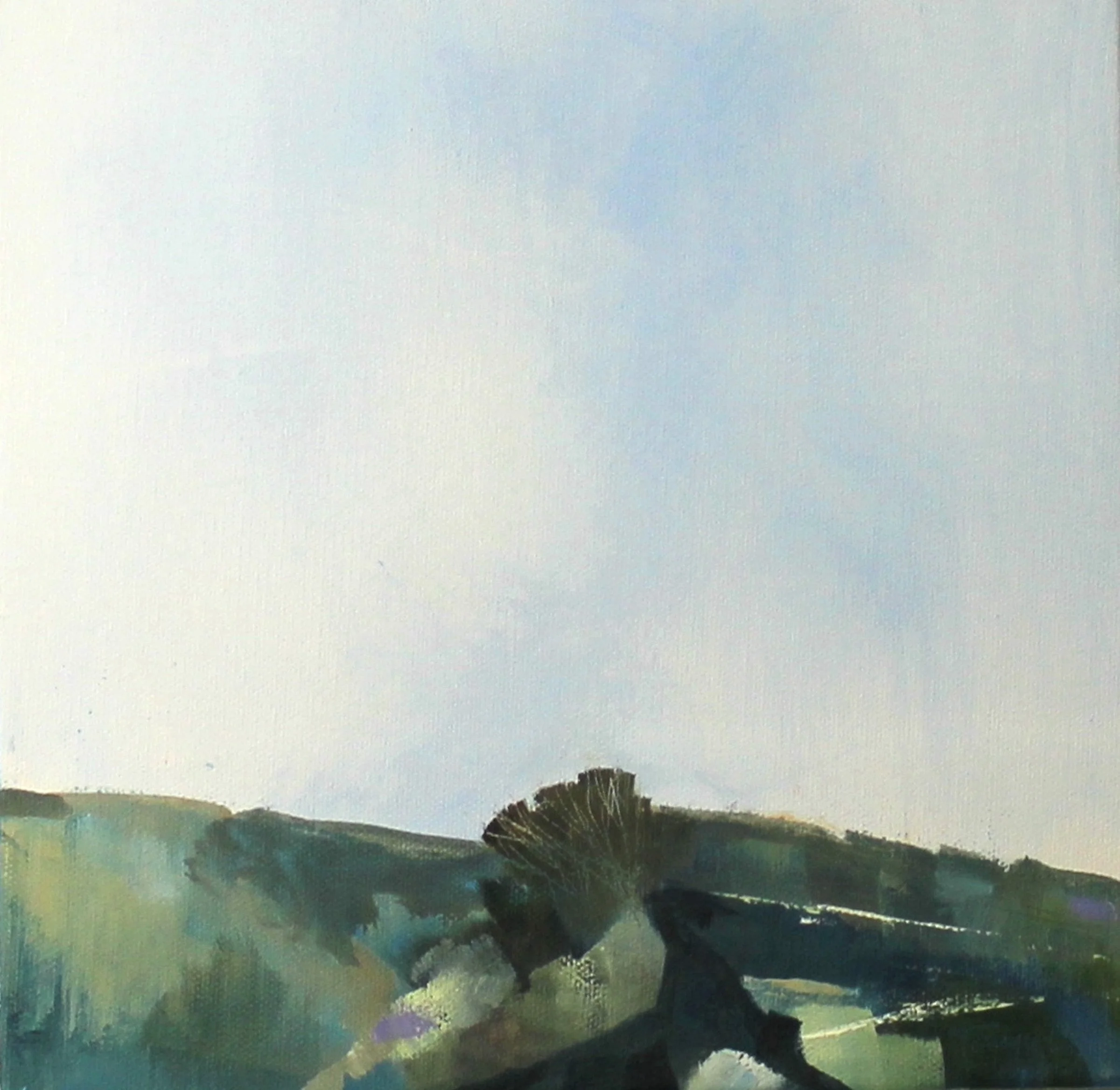 What's New — 13FOREST Gallery