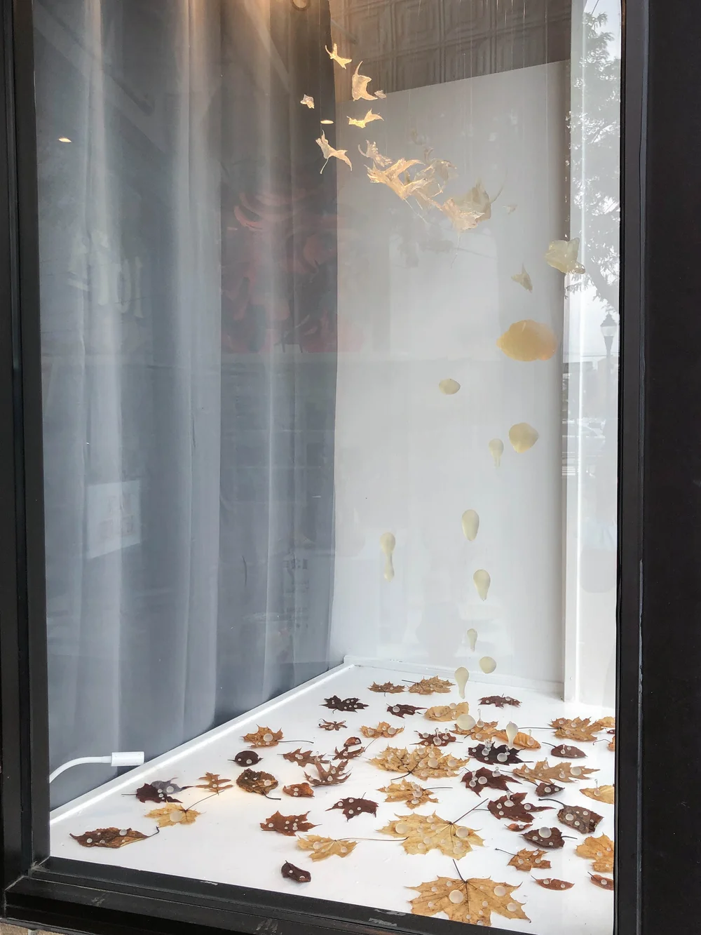 Guest writer Tom Nealon shares his perspective on Exquisite ...