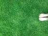 GROUNDING WITH THE GRASS BETWEEN YOUR TOES — Emma-Jane Watson