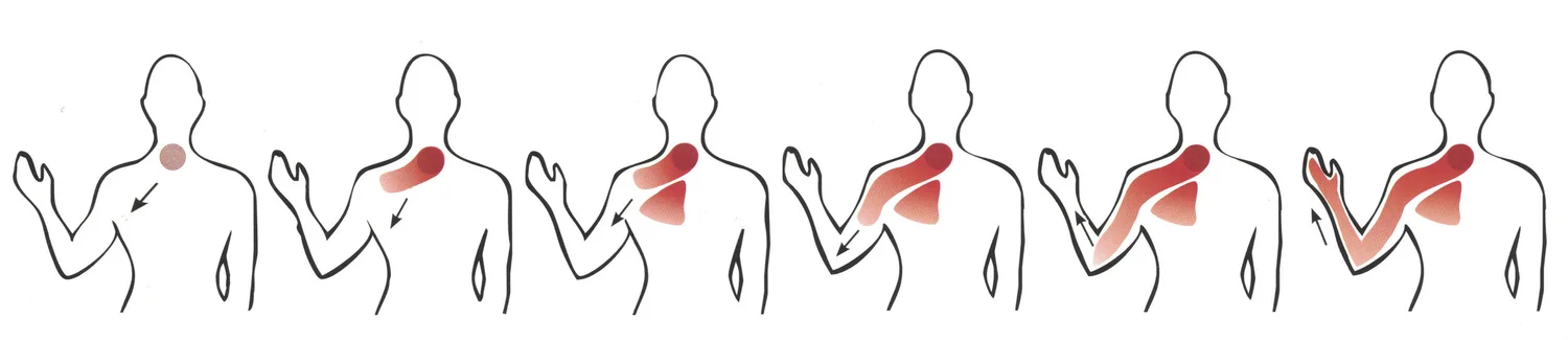 Changing Minds Blog — NeuroActive Health & Fitness