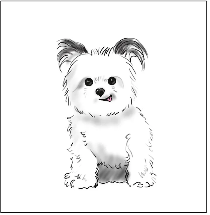 AT HOME WITH NORBERT — NORBERT