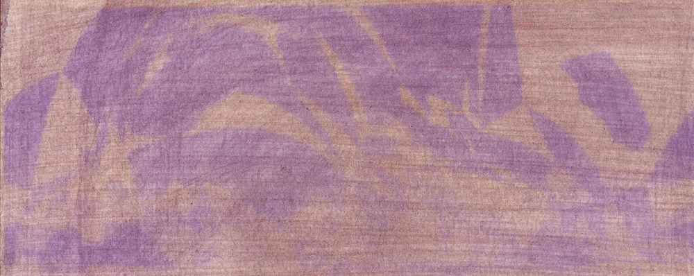 WORKSHOP: Anthotypes – Plant-Based Art — BRADBURY ART MUSEUM