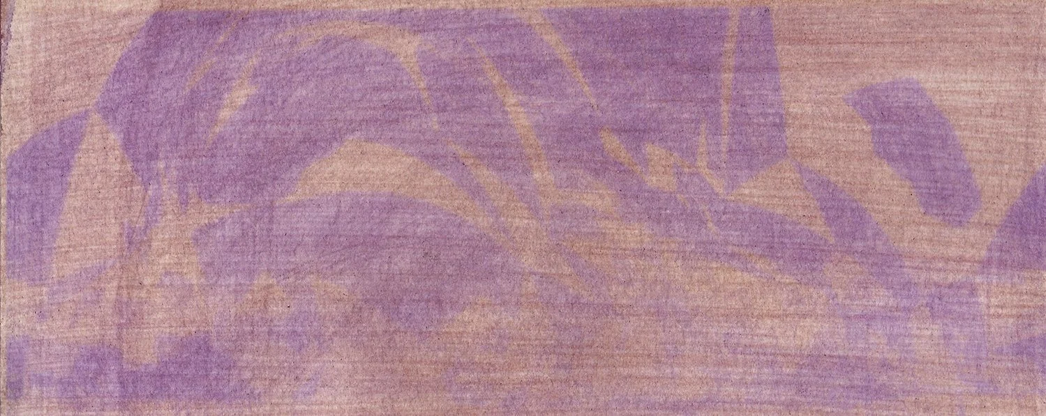 WORKSHOP: Anthotypes – Plant-Based Art — BRADBURY ART MUSEUM